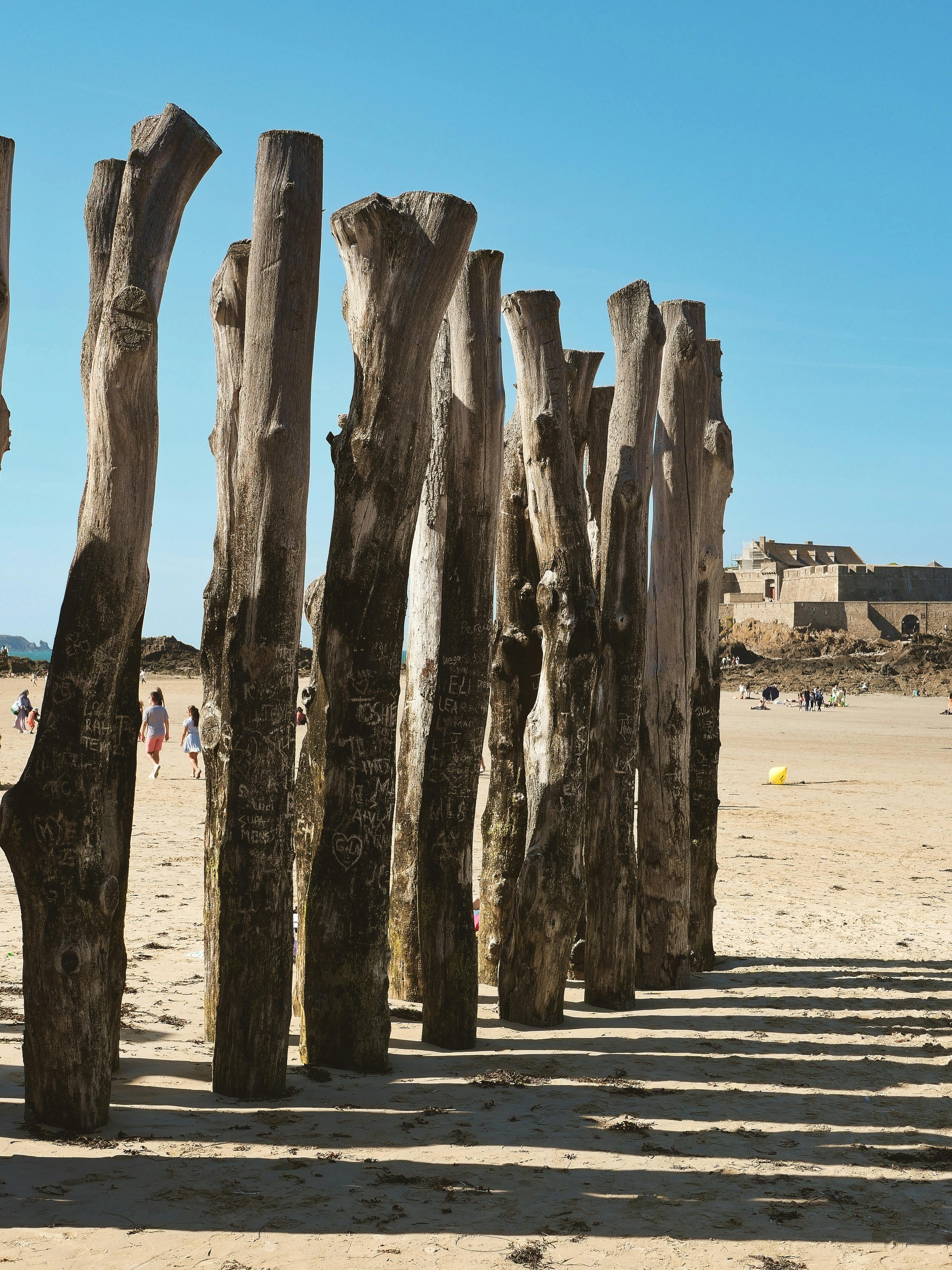 Wooden Posts on Beach Sand · Free Stock Photo