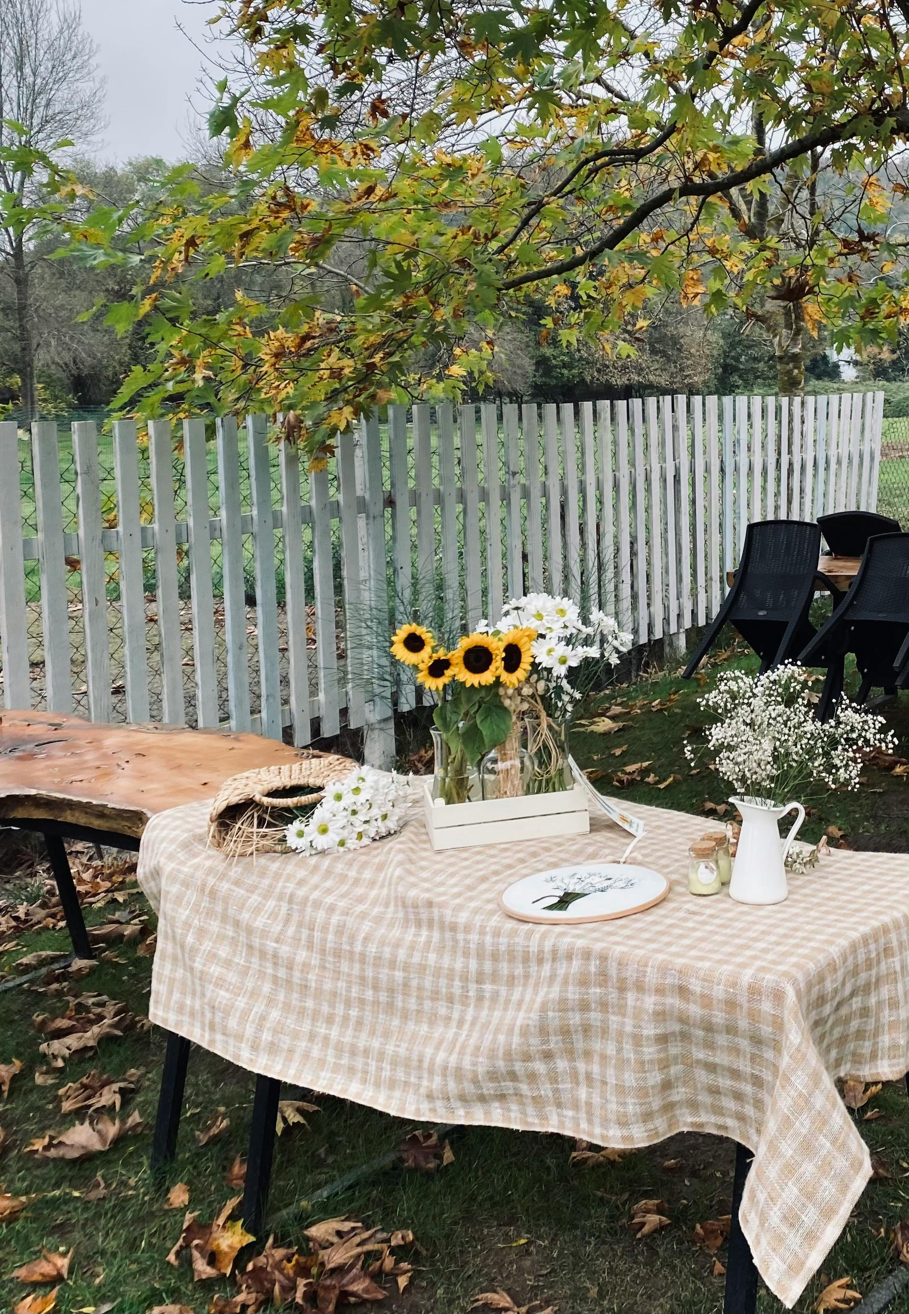 Sunflower on a Picnic Table · Free Stock Photo