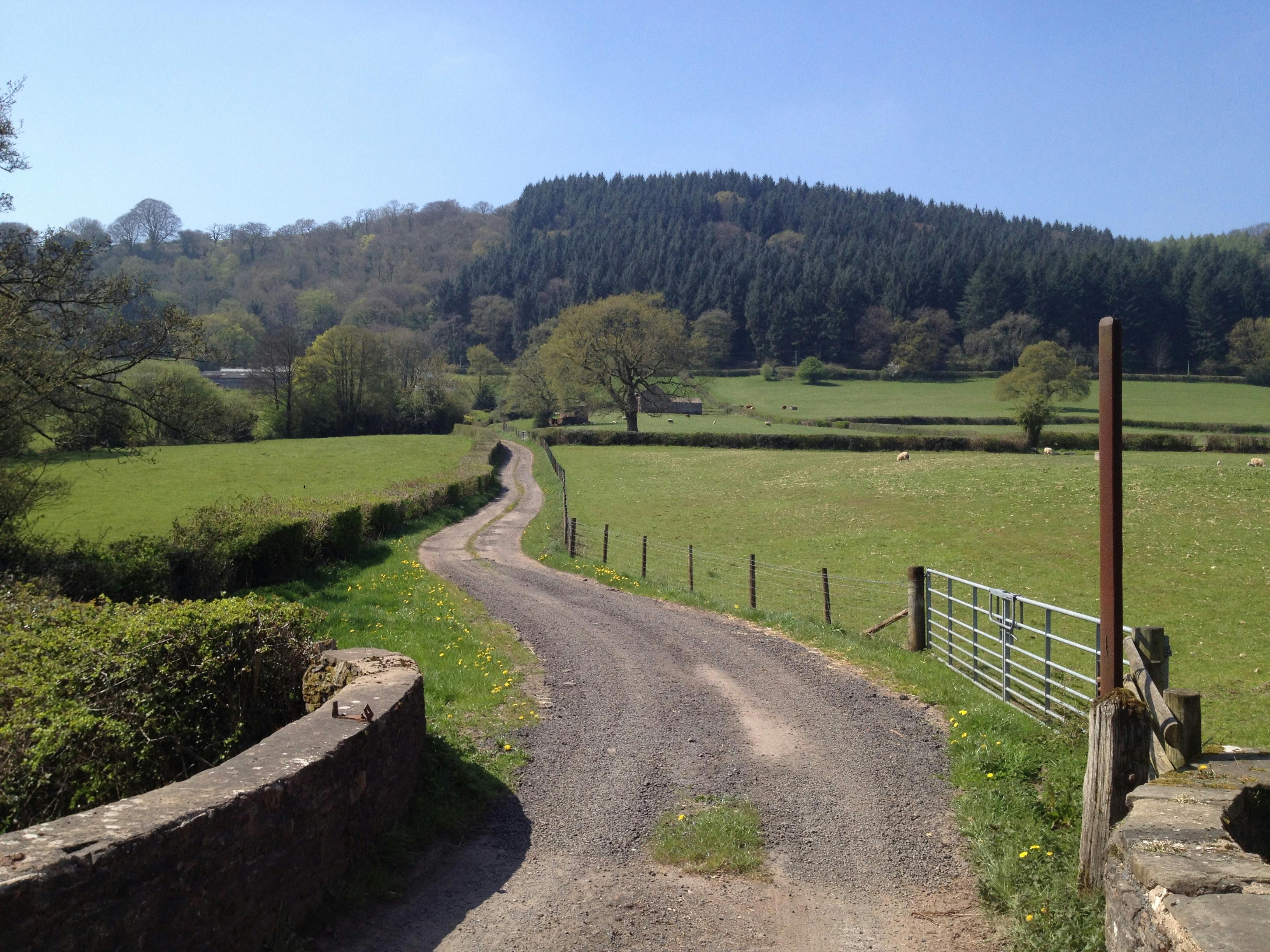 Unpaved Pathway between Grassland · Free Stock Photo