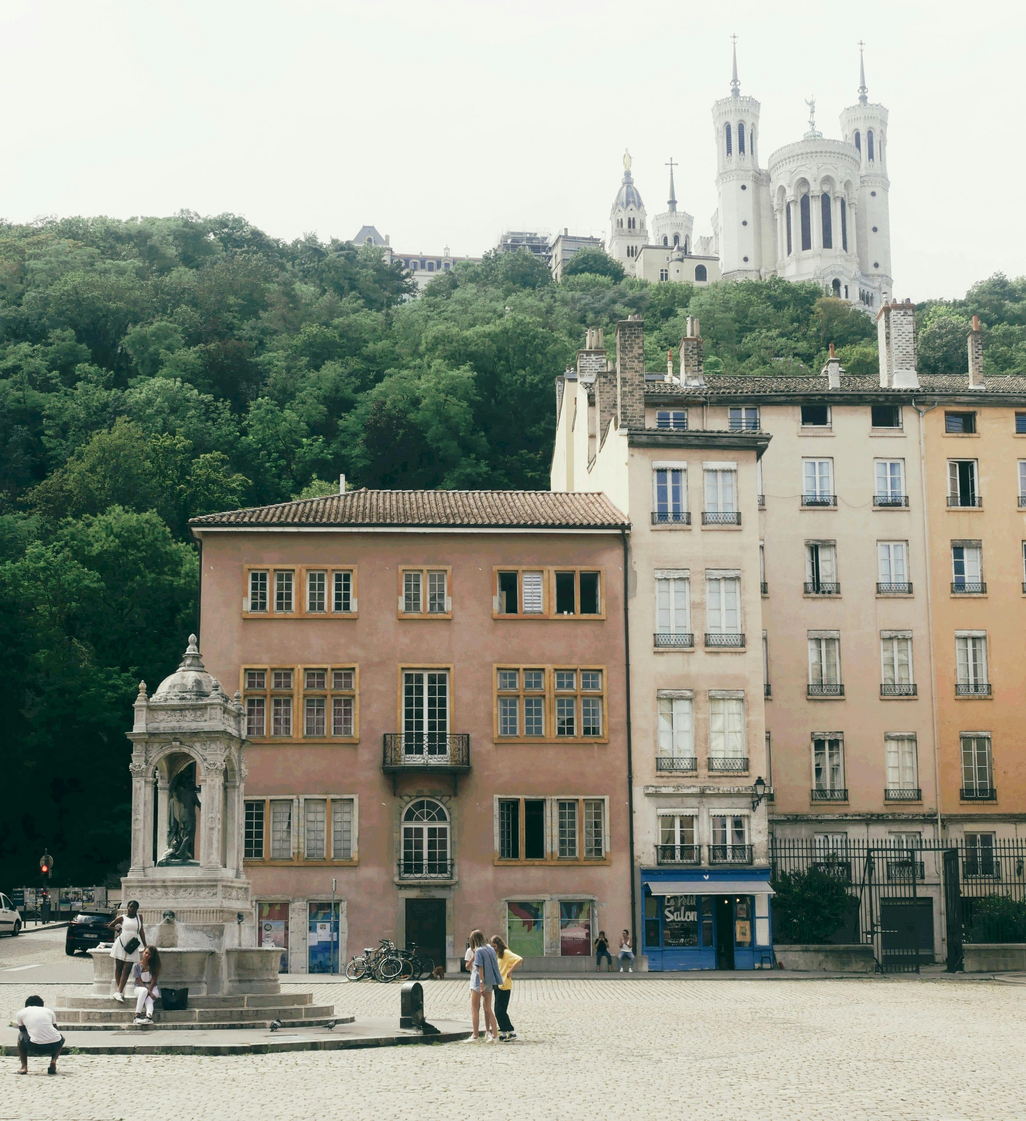 Towering Trees Photos, Download The BEST Free Towering Trees Stock ...