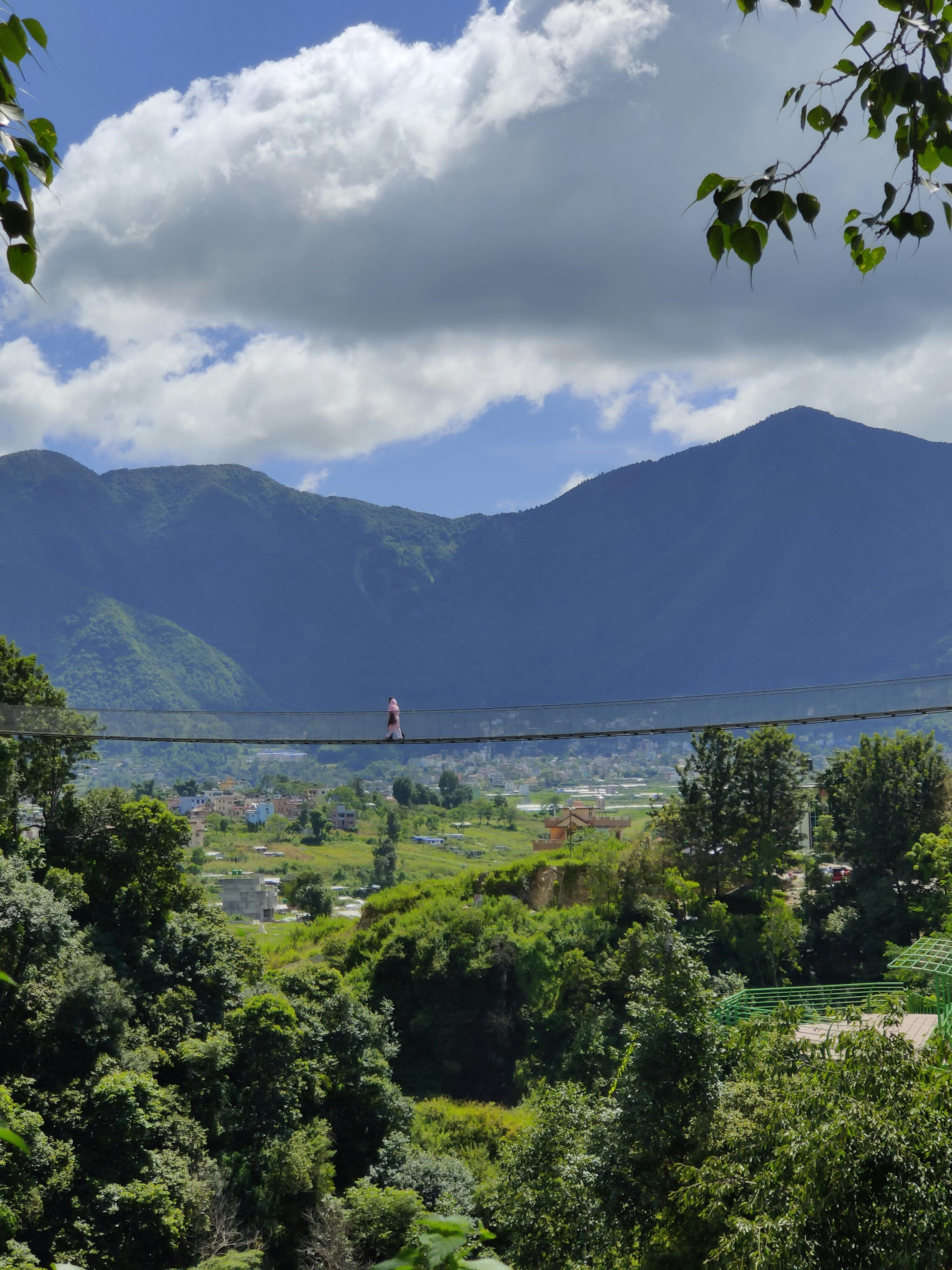 Hanging Footbridge over Trees near a Mountain · Free Stock Photo