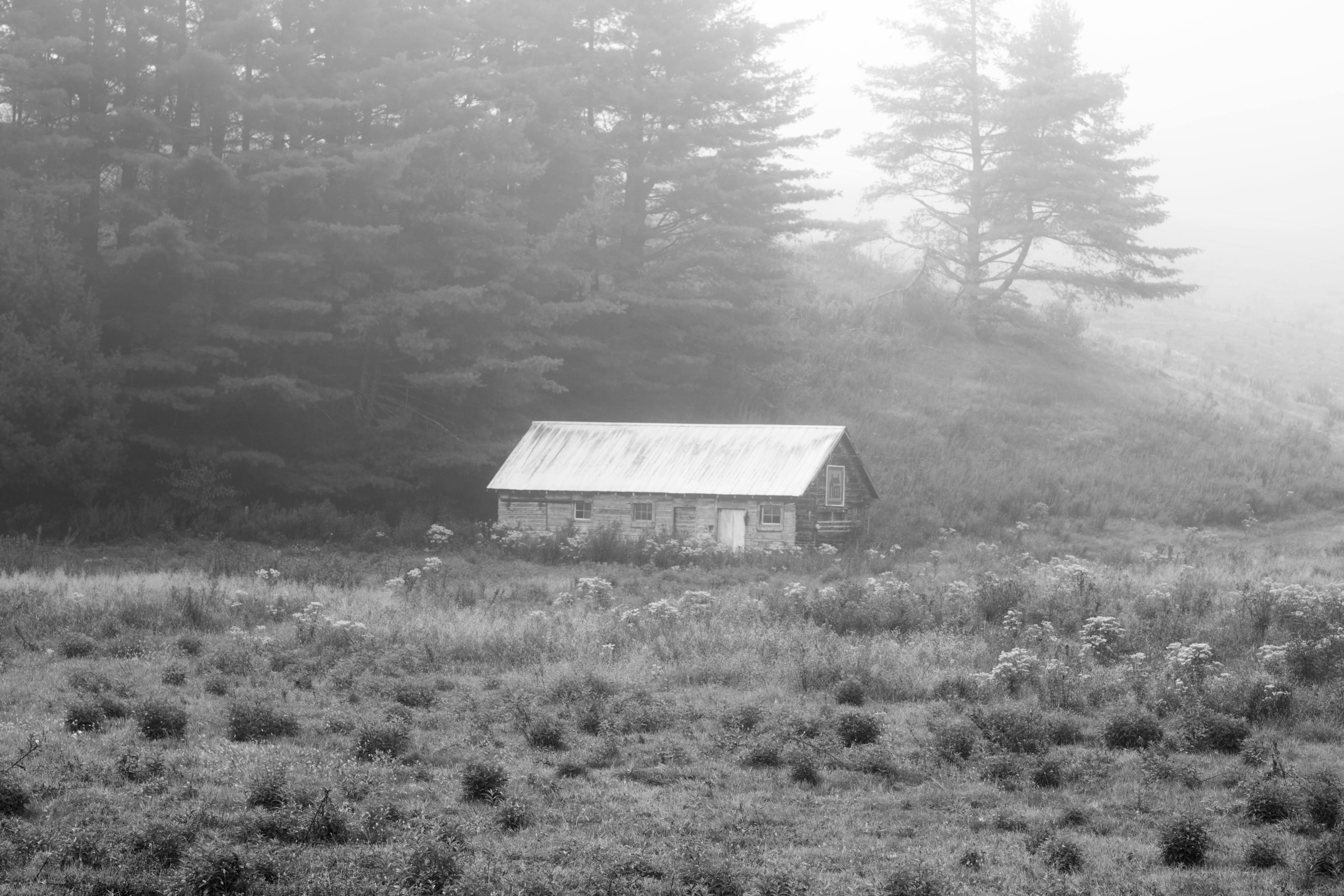 Misty House Photos, Download The BEST Free Misty House Stock Photos ...