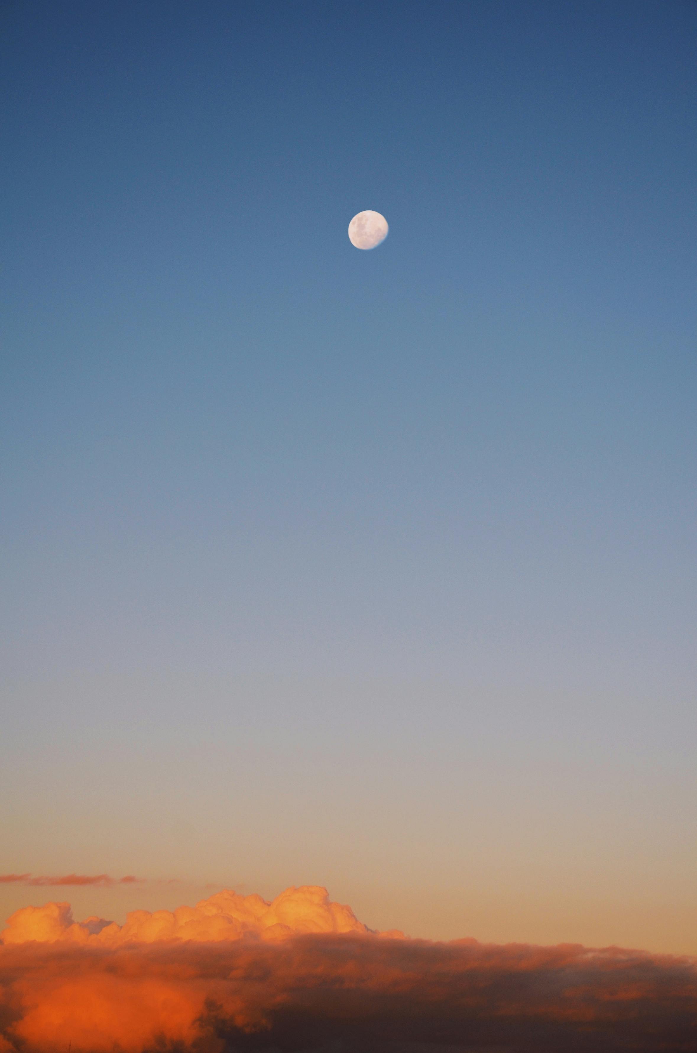 Rose Moon Photos, Download The BEST Free Rose Moon Stock Photos & HD Images