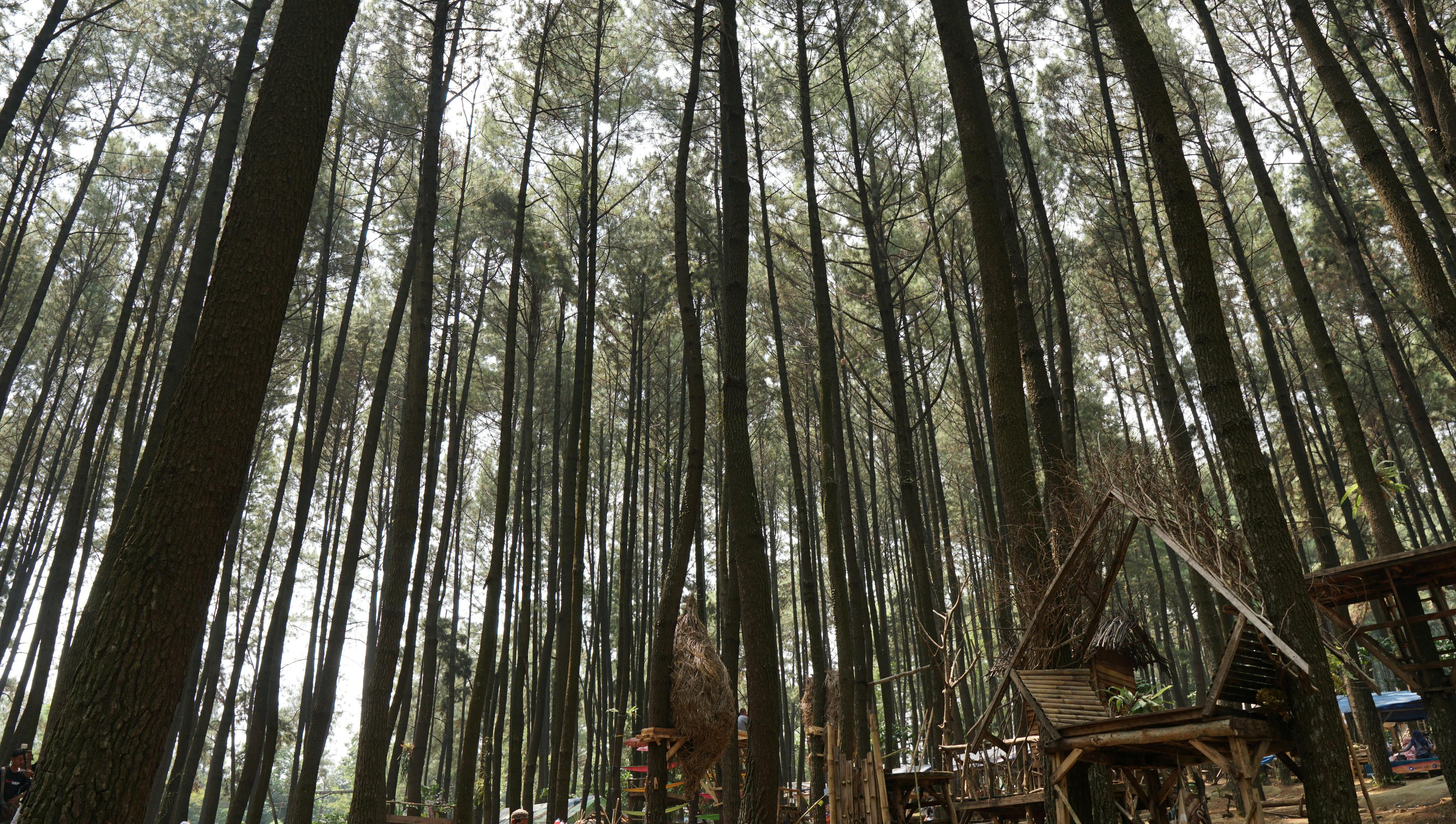 BuildWith Angga - Photography