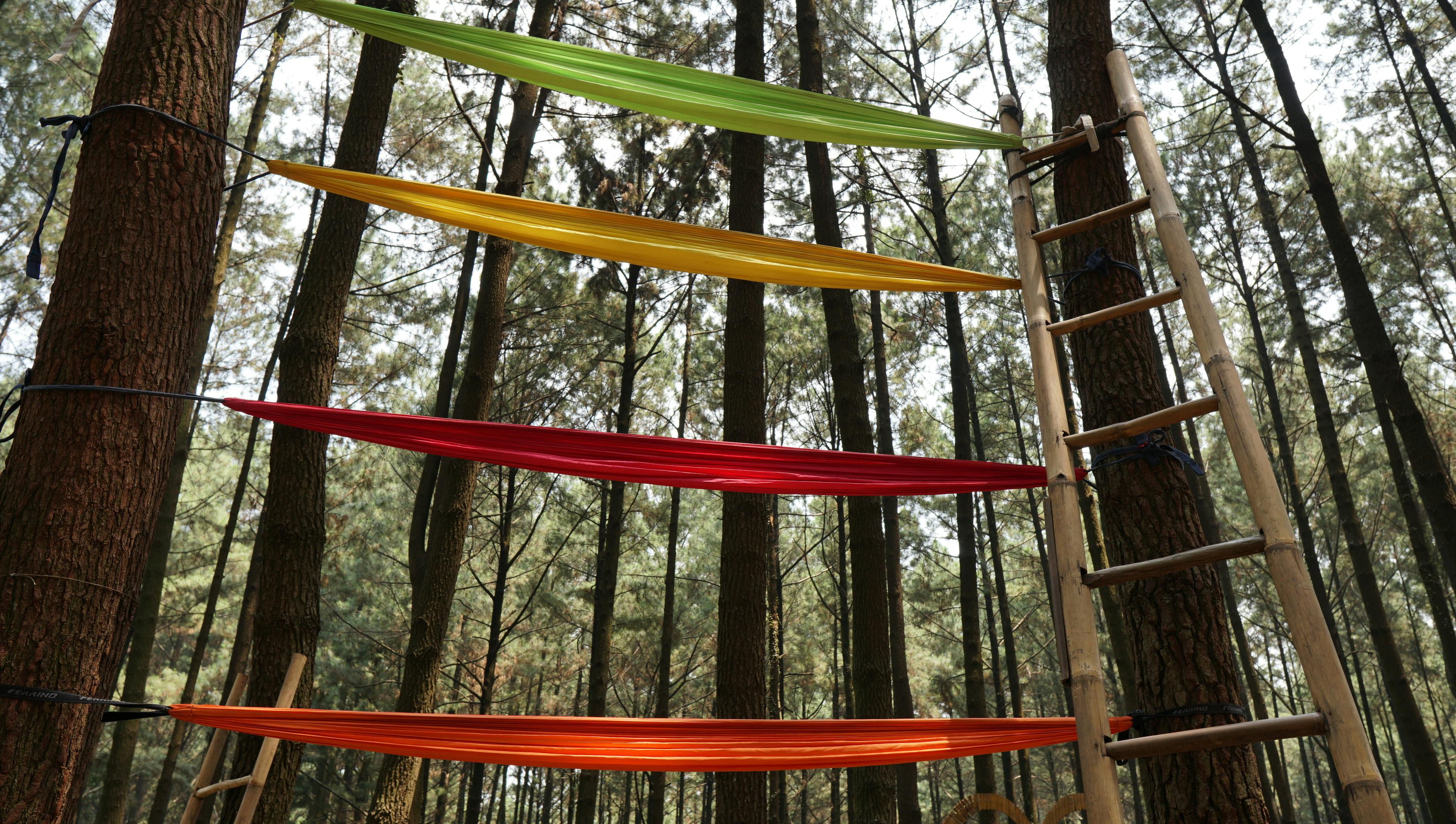 BuildWith Angga - Fotografía