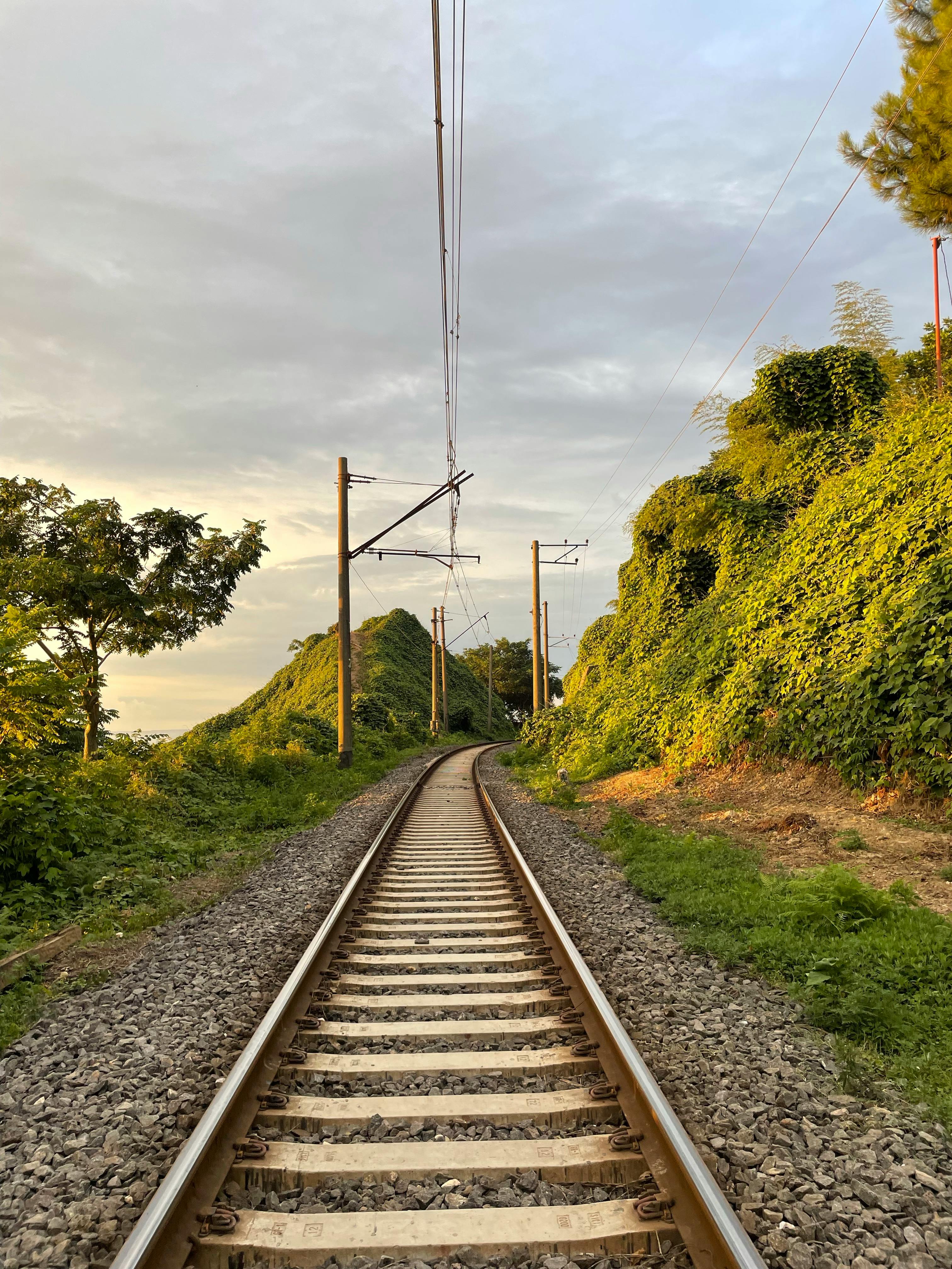 Train tracks through green forest · Free Stock Photo