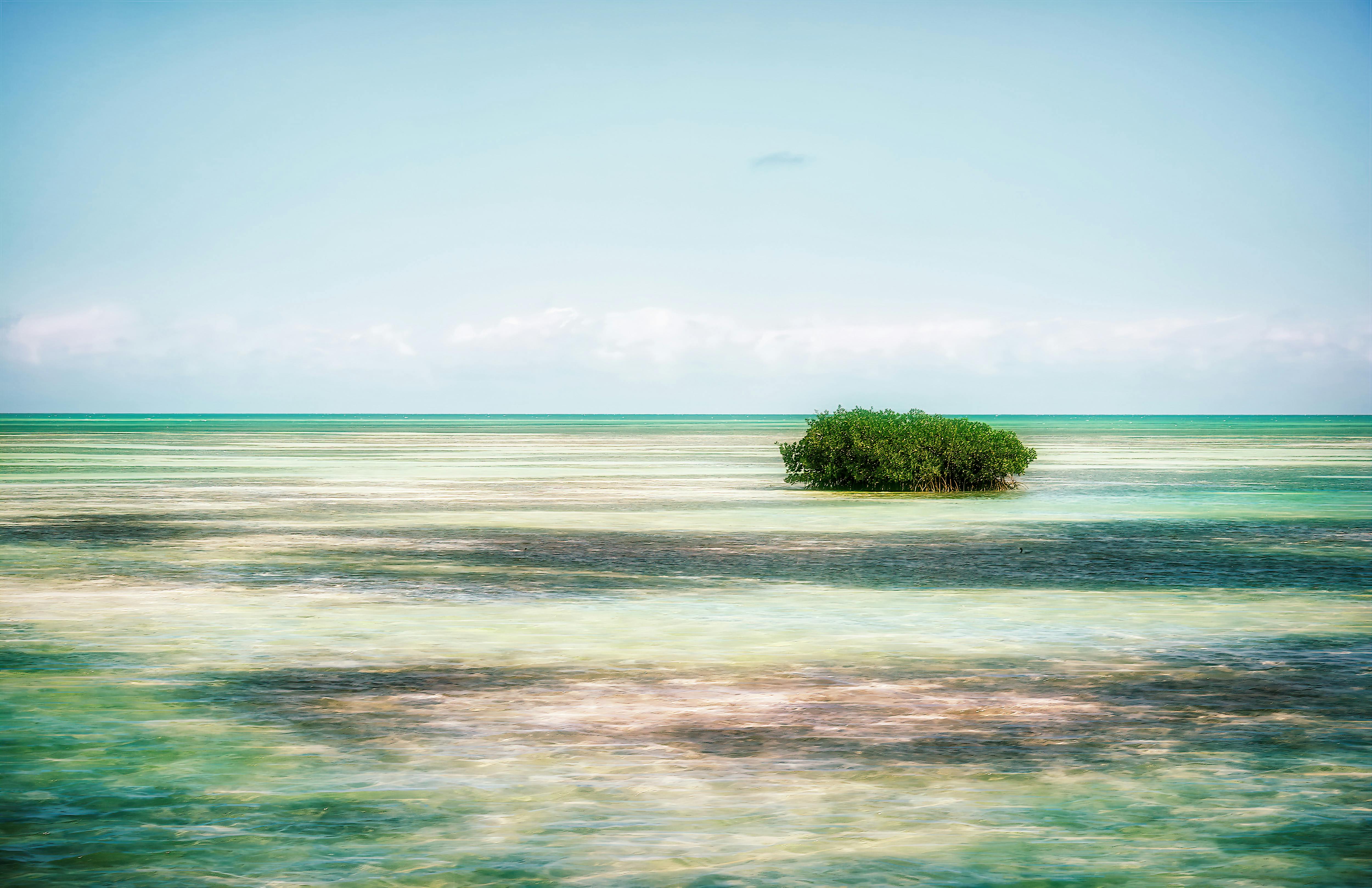 Free stock photo of blue, caribbean, cuba
