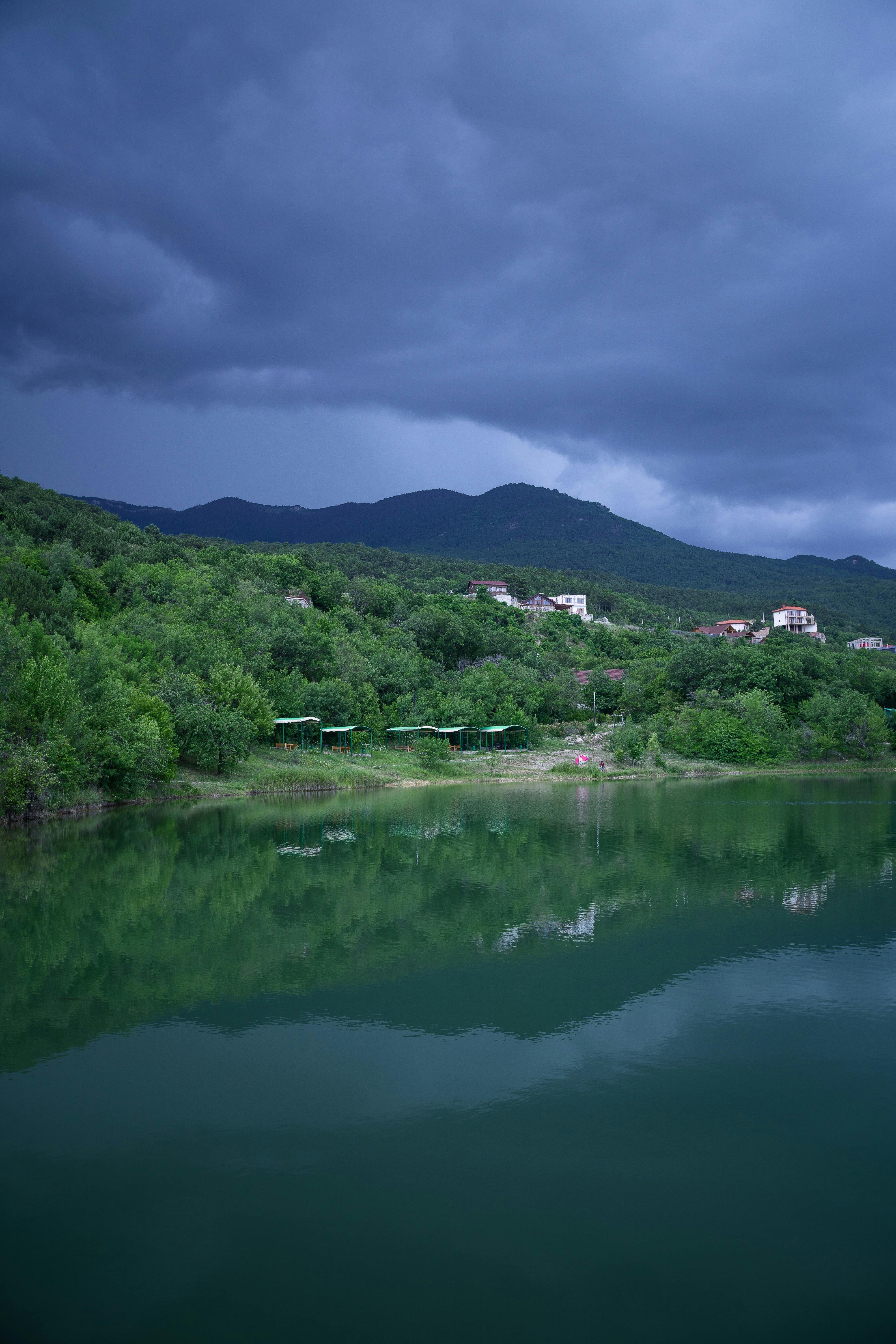 Overcast over Forest · Free Stock Photo