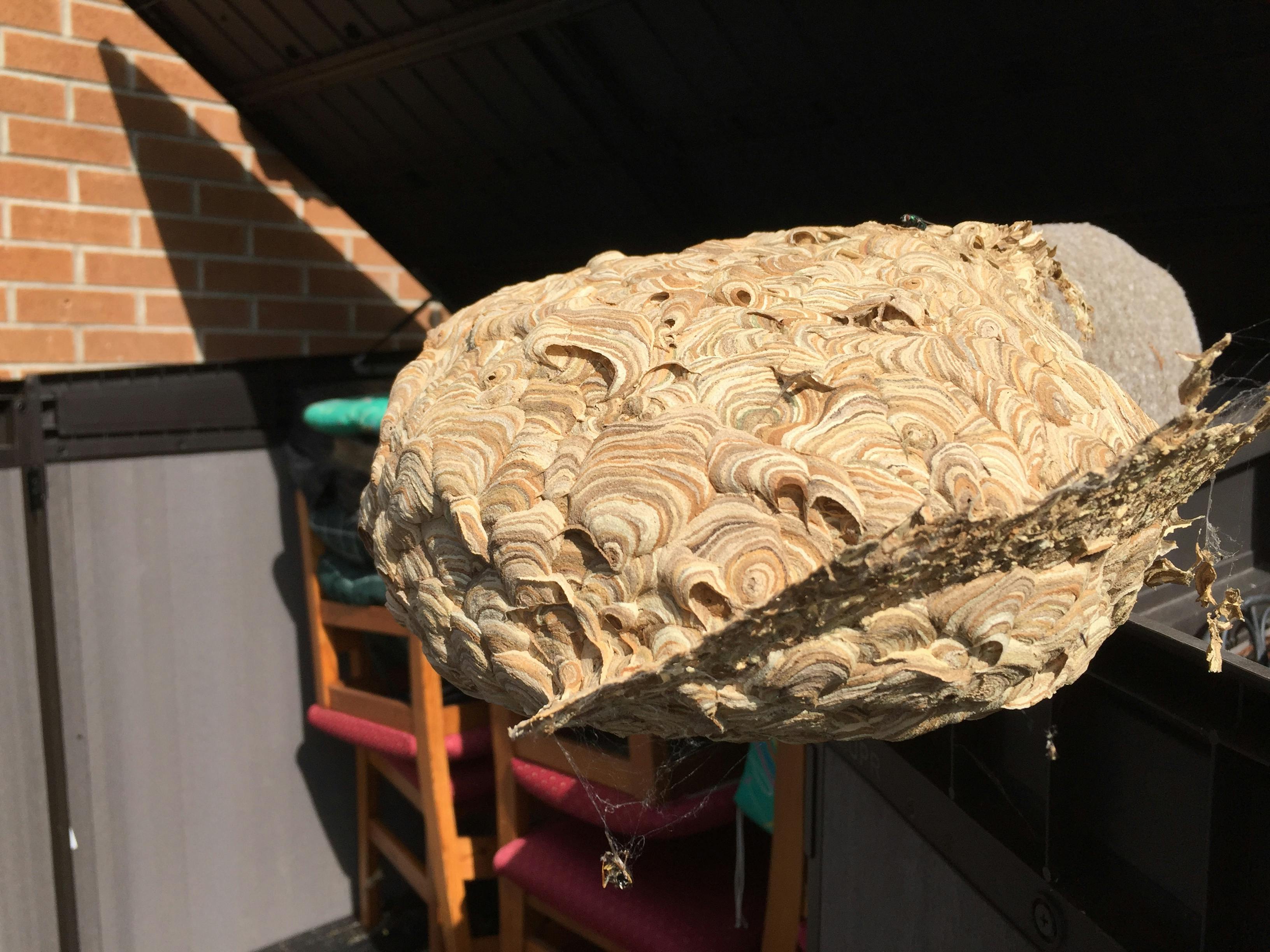 Vincent Naylor - Photography