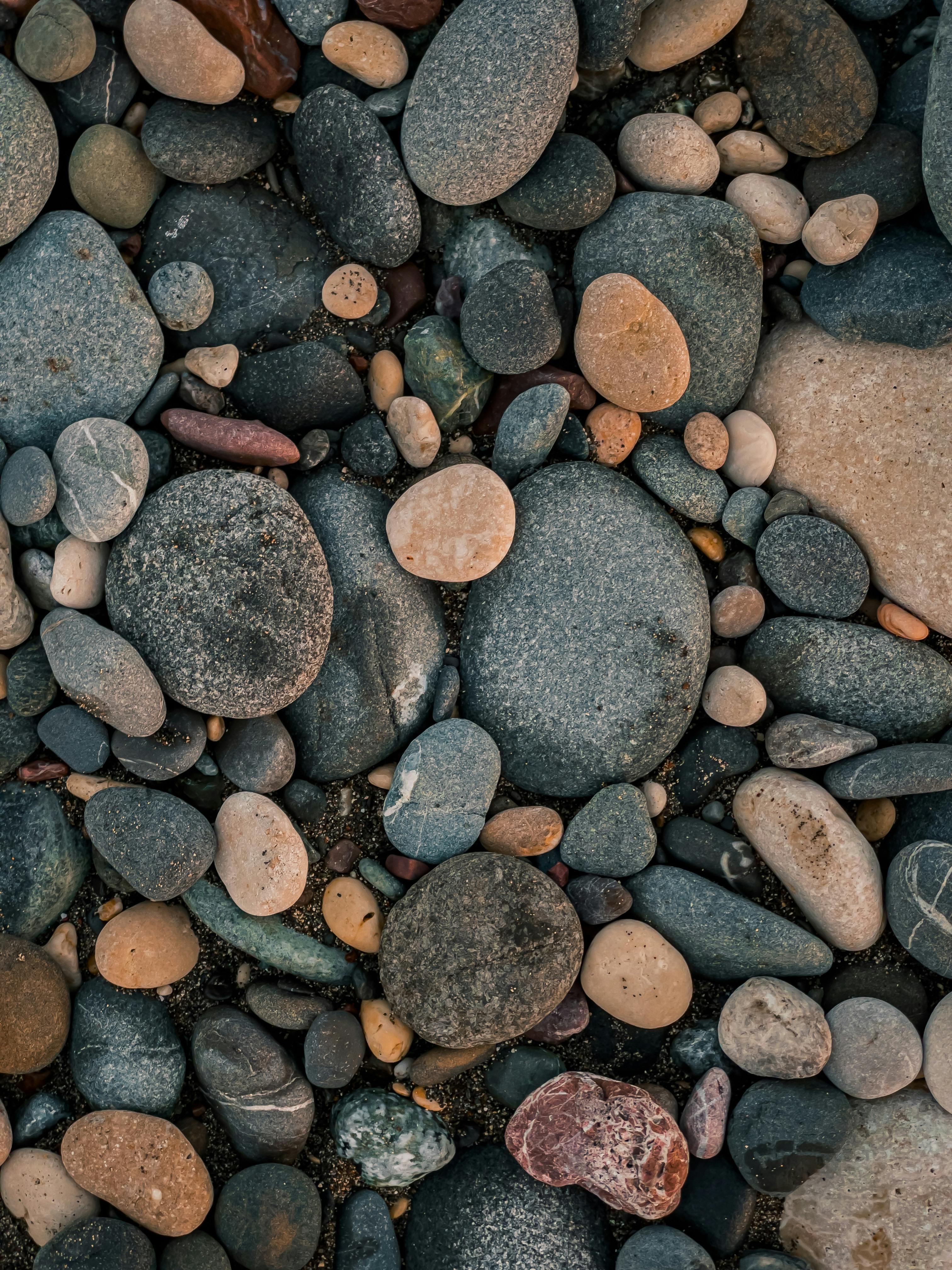 Brown and Gray Stones on Brown Sand · Free Stock Photo