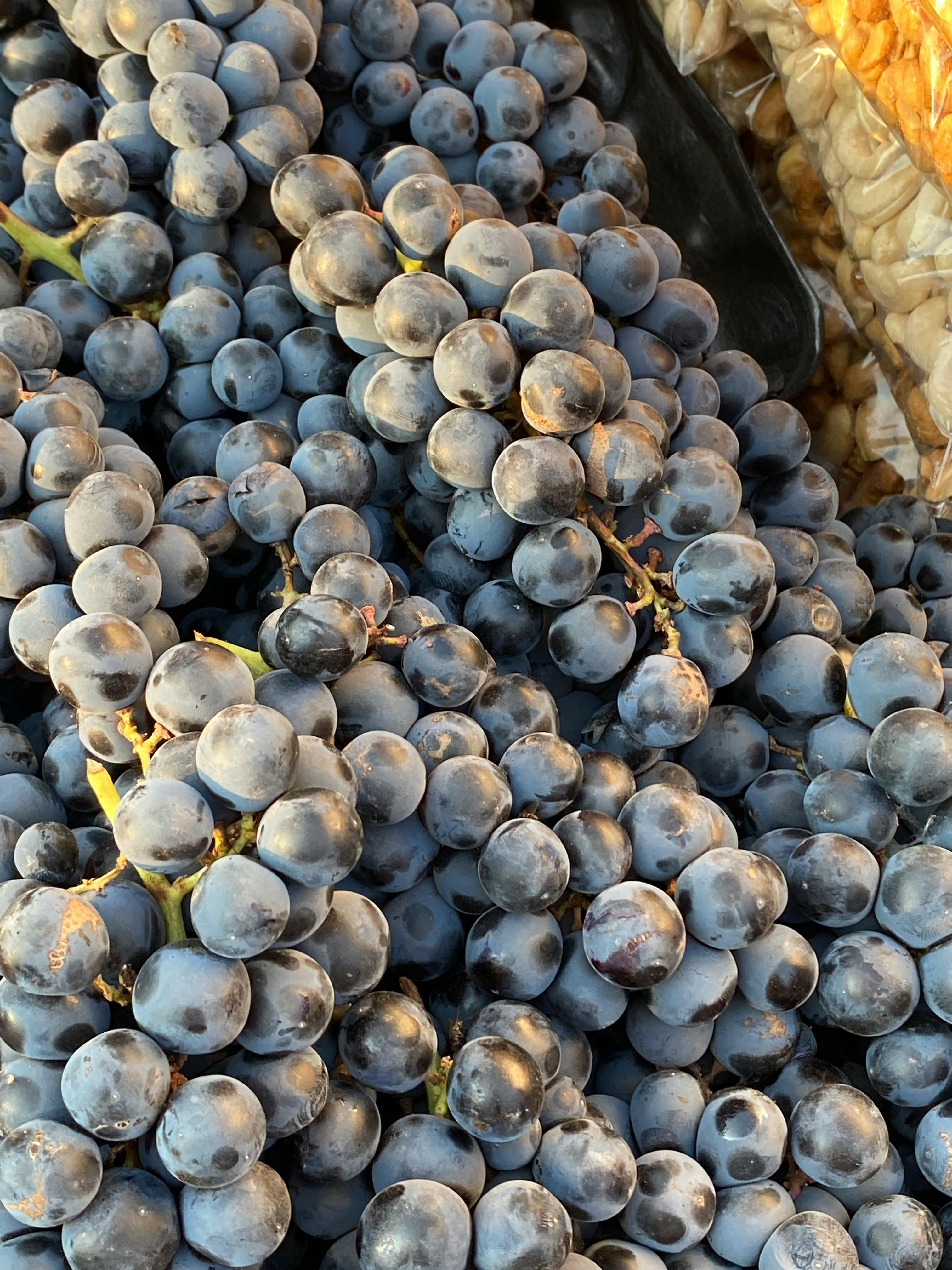 Mouni Melouni - Fotografía