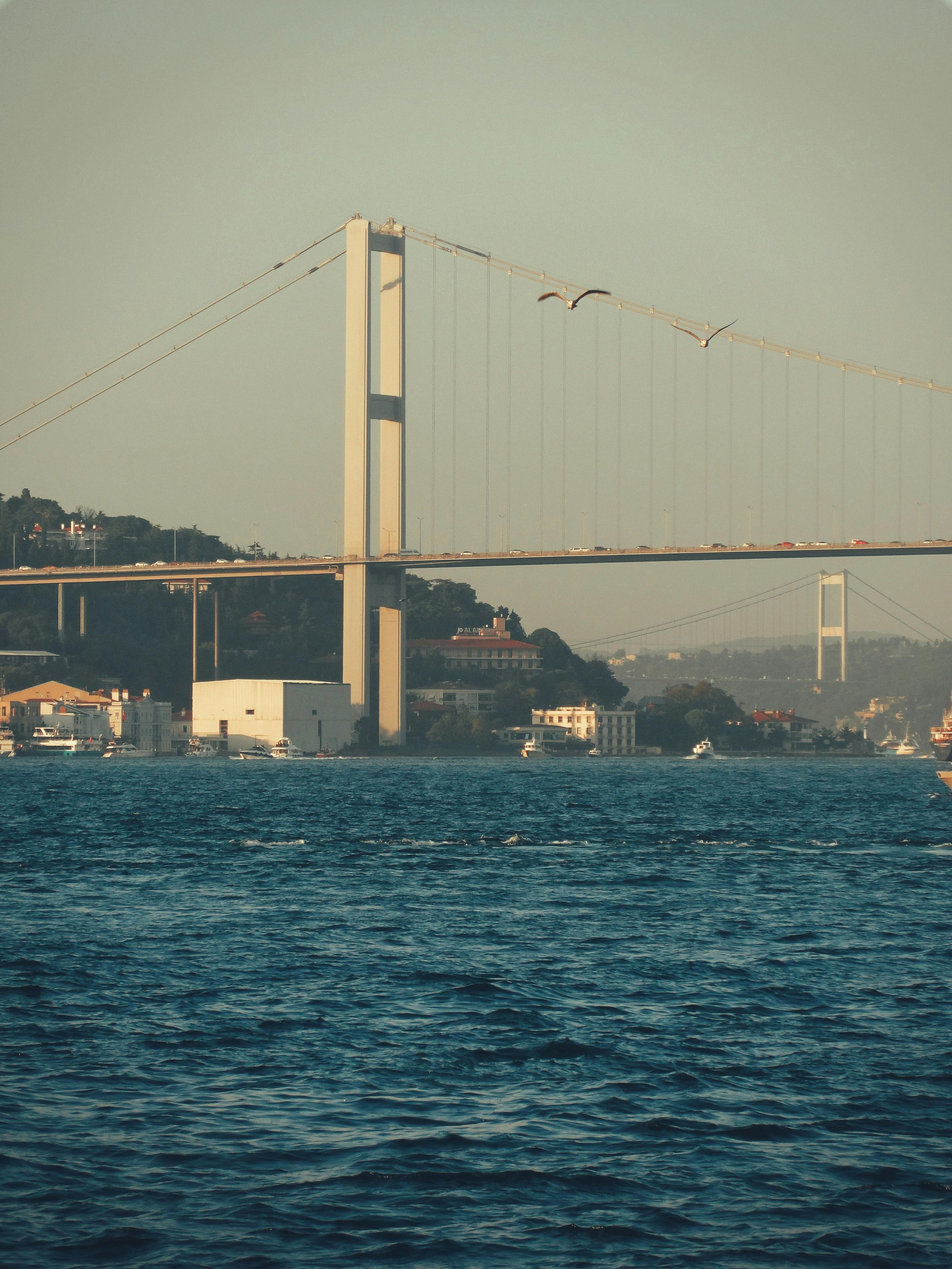 Suspension Bridge over River · Free Stock Photo