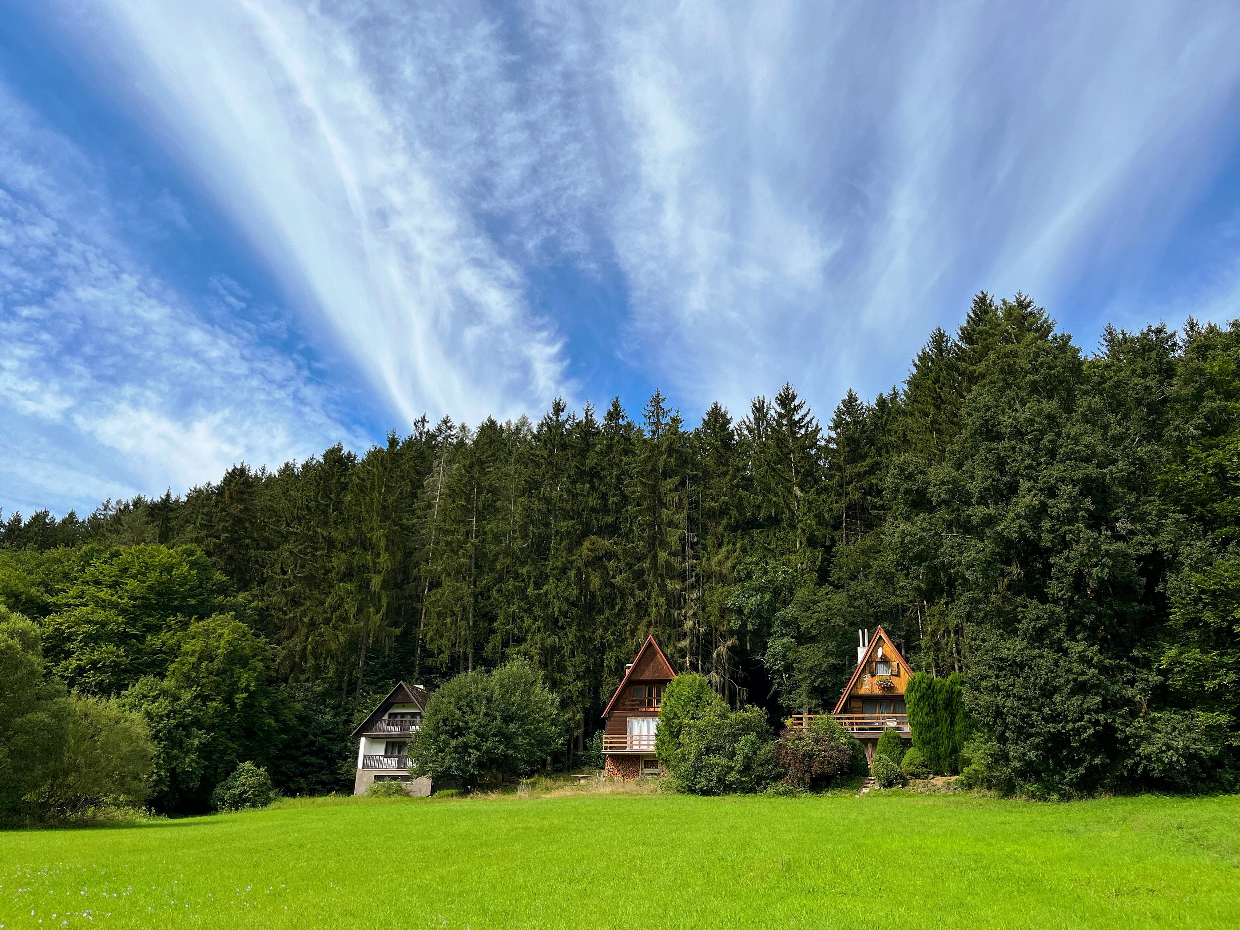 Houses Near Forest · Free Stock Photo