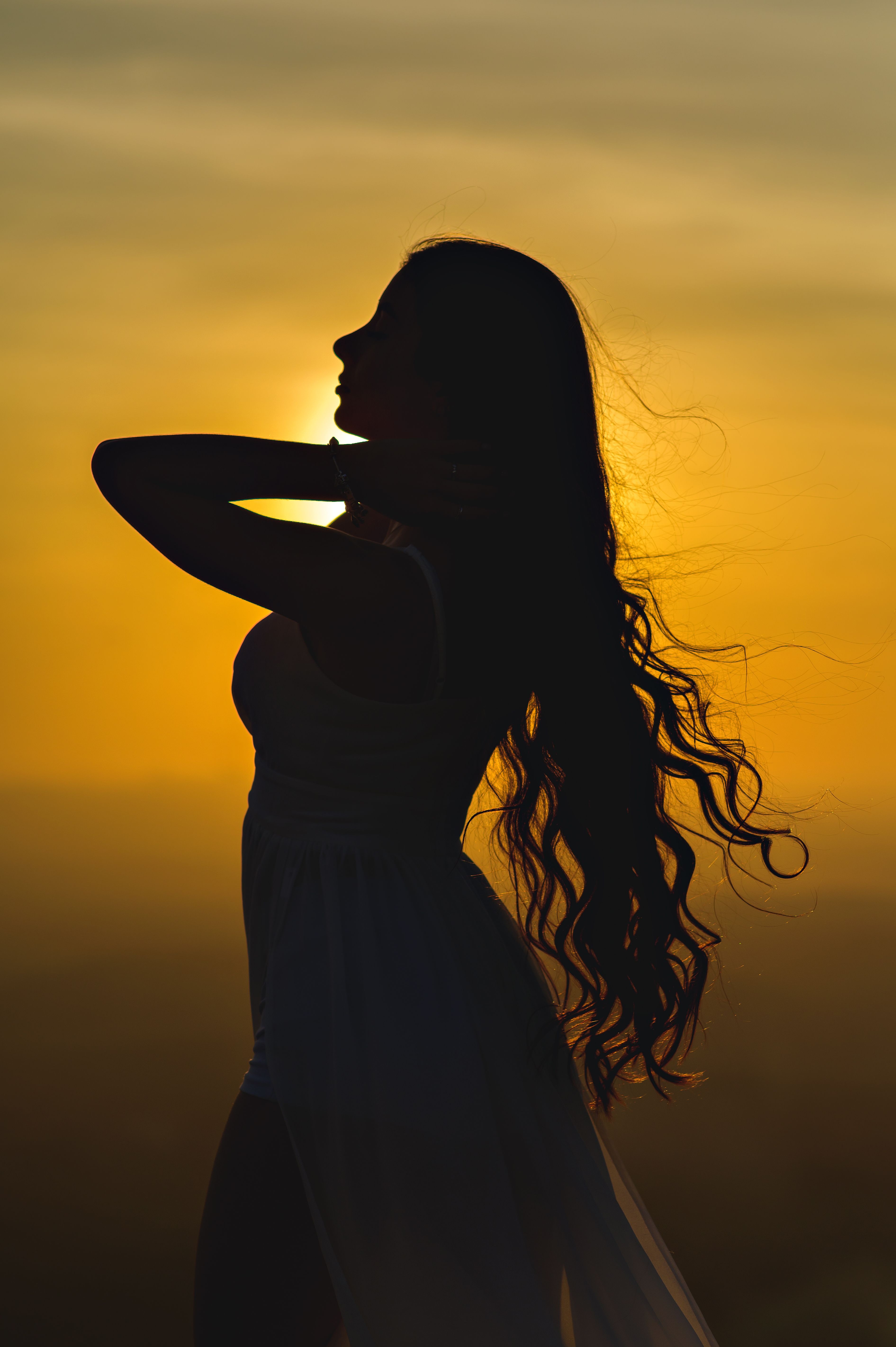 Silhouette of Woman in Side View Photography · Free Stock Photo