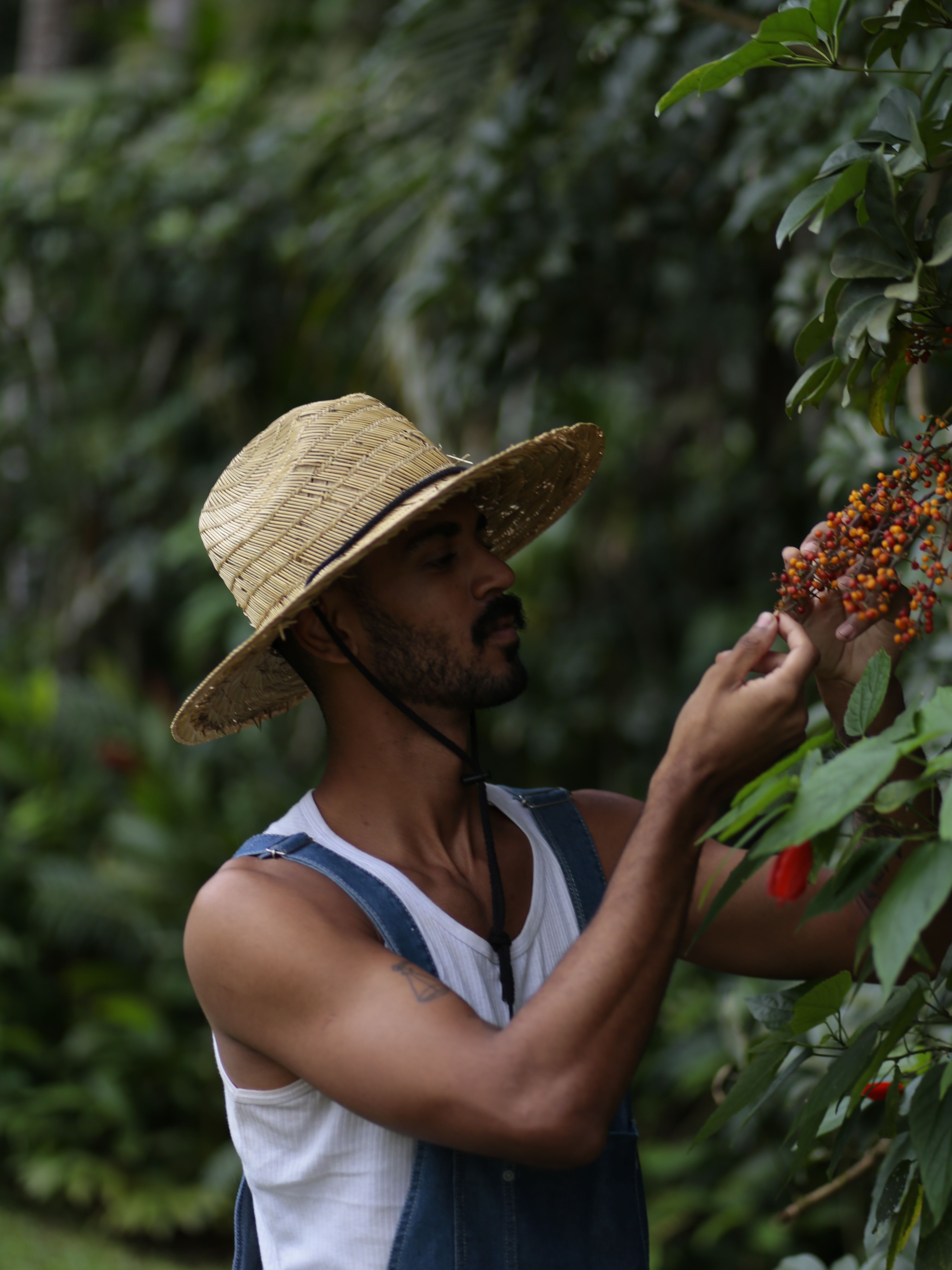 Picking Fruit Photos Download The Best Free Picking Fruit Stock Photos