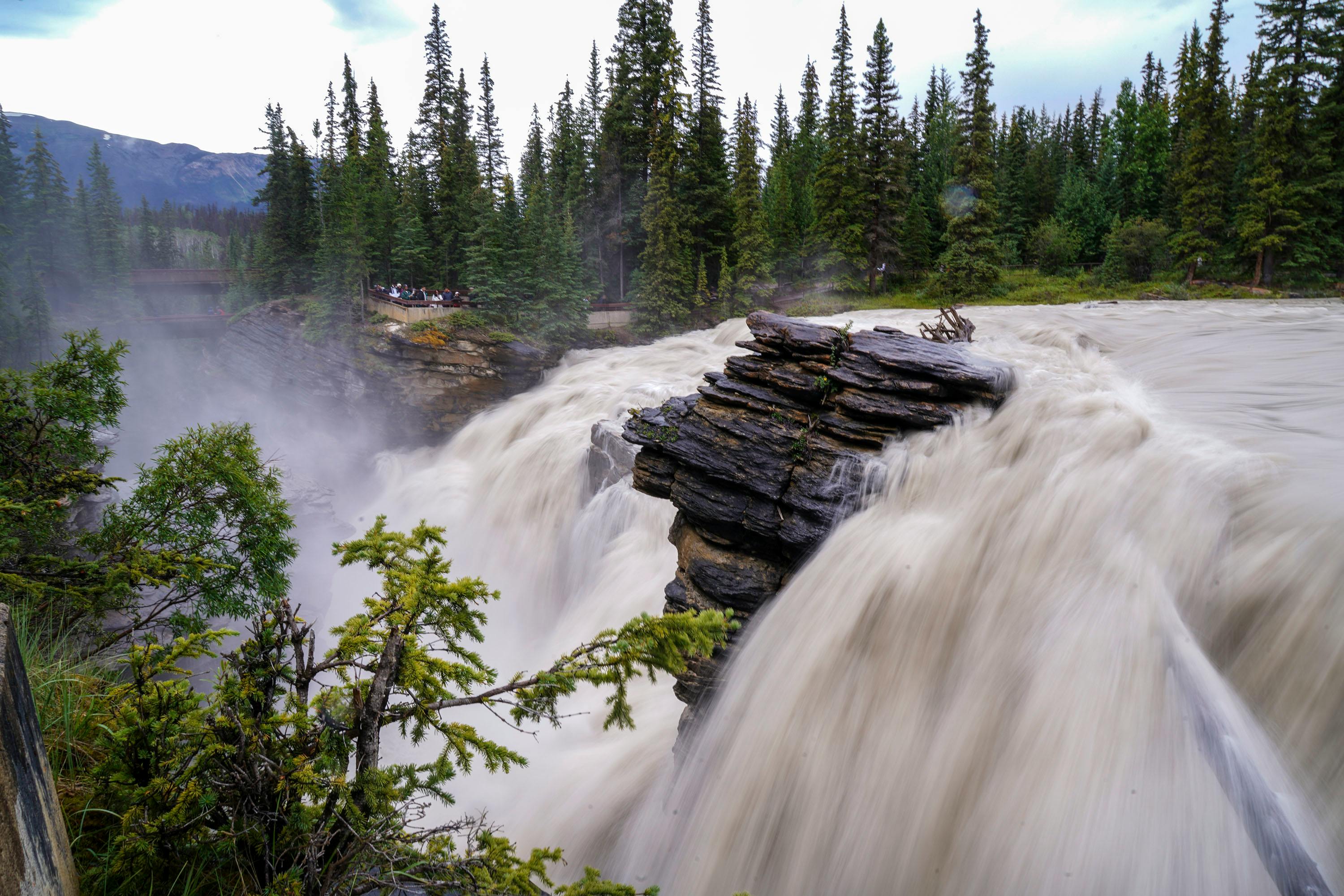 Waterfalls near Green Trees · Free Stock Photo