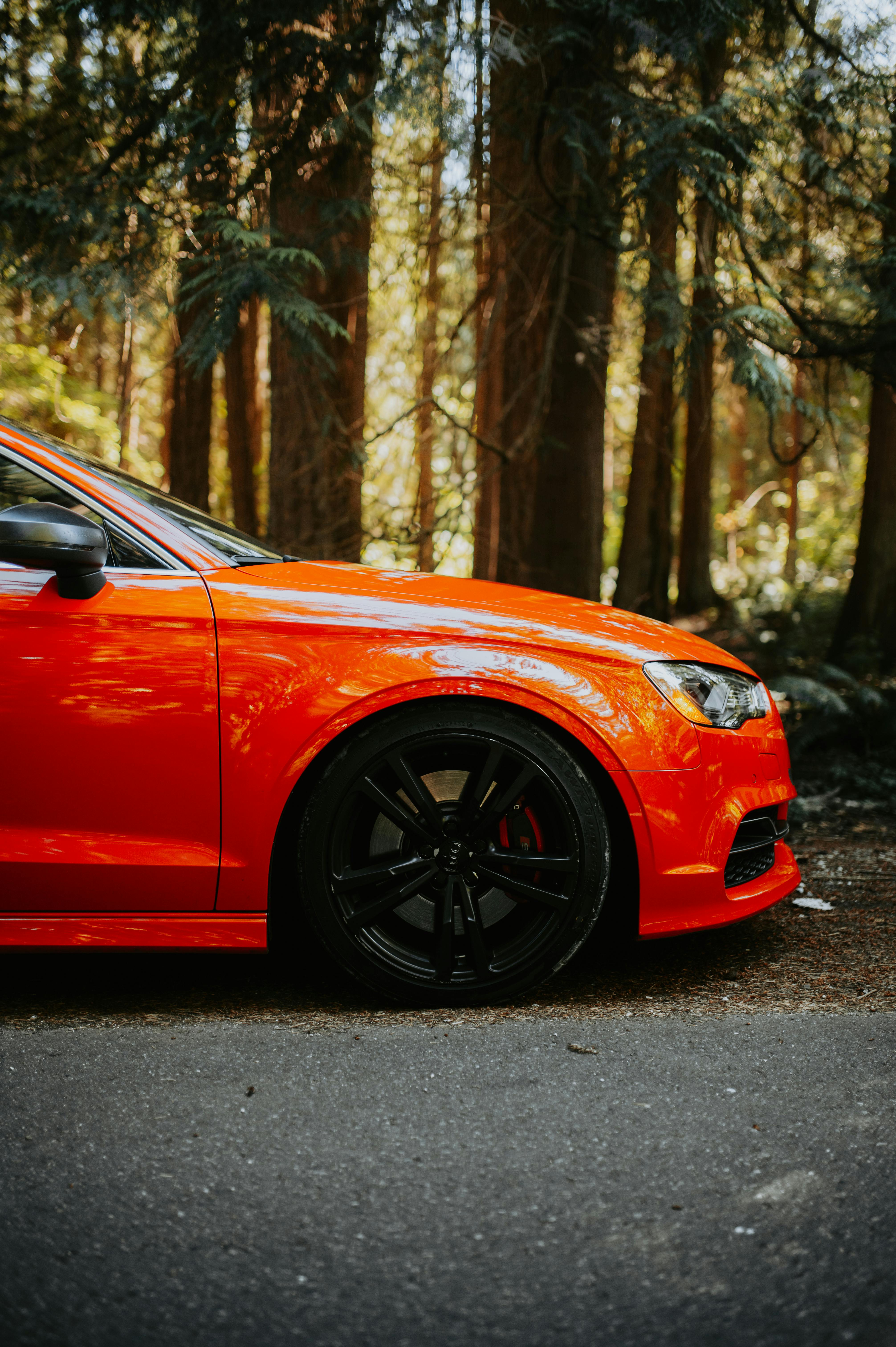 A Car in a Forest · Free Stock Photo