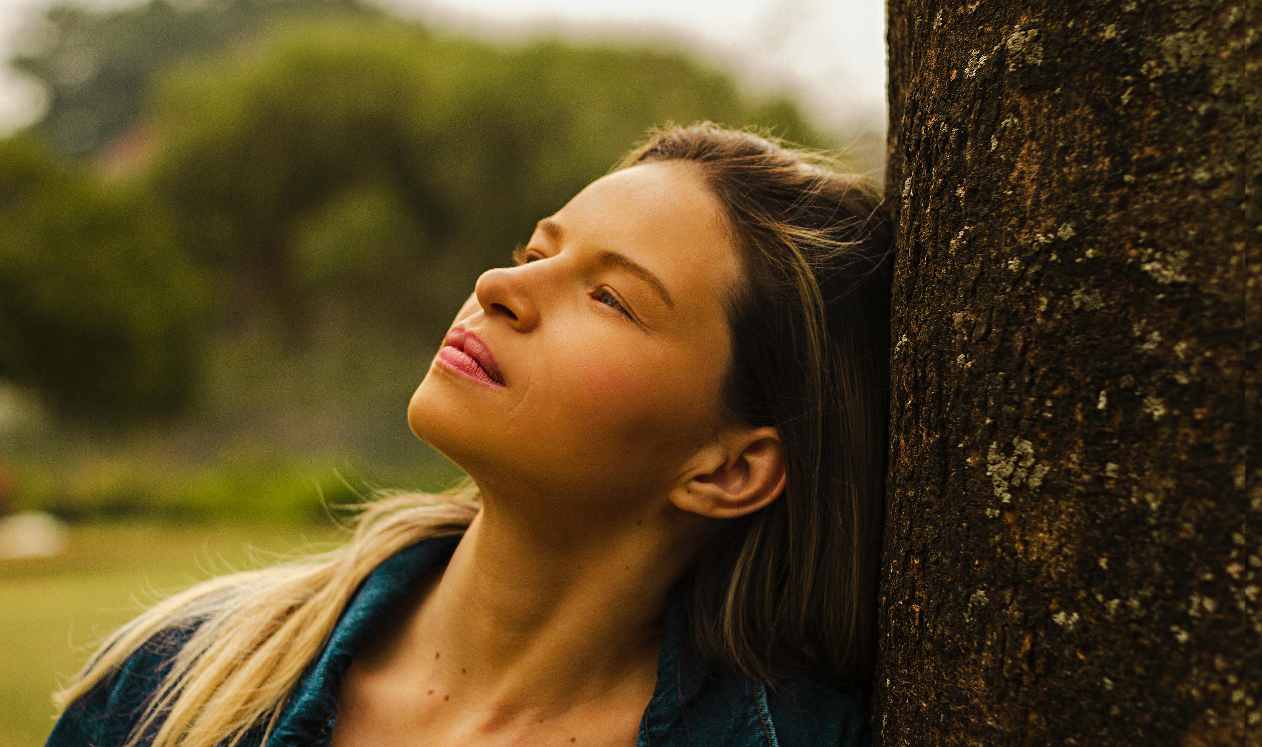 Raisin Tree Photos, Download The BEST Free Raisin Tree Stock Photos ...