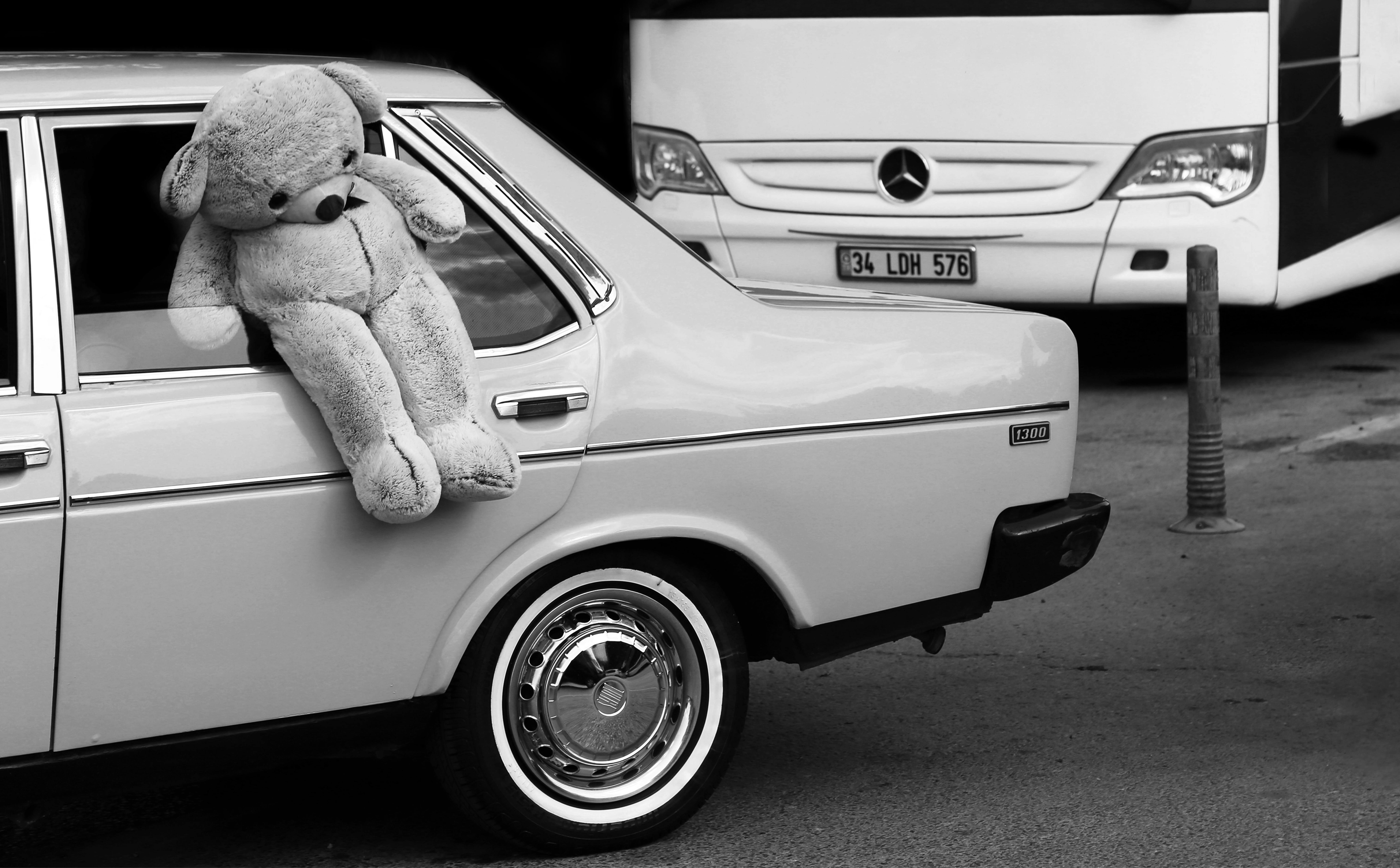 Monochrome Photo of Teddy Bear on Car Window · Free Stock Photo