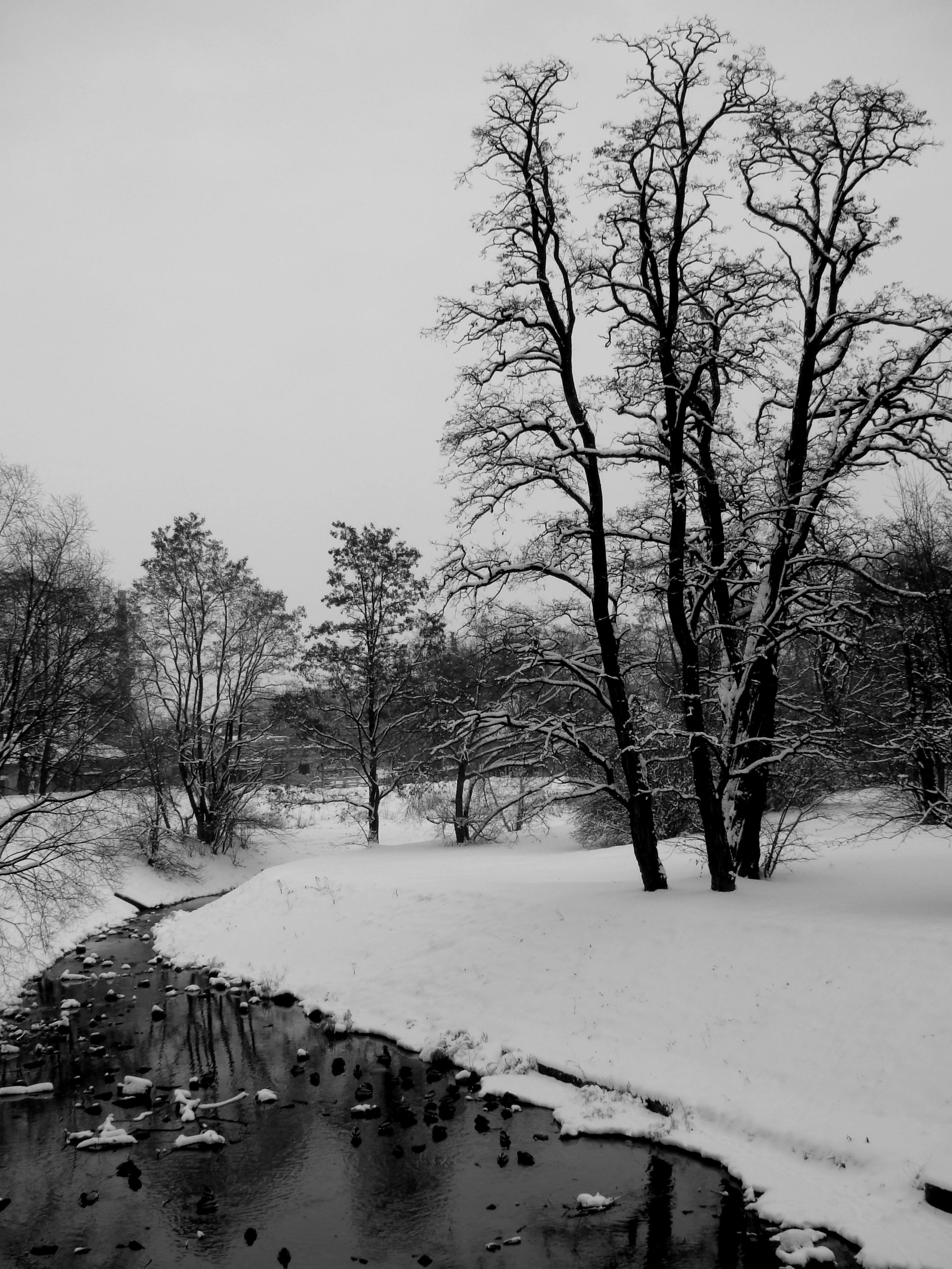 Grayscale Photo of a Person Fetching Water on a Stream with Tumbler ...