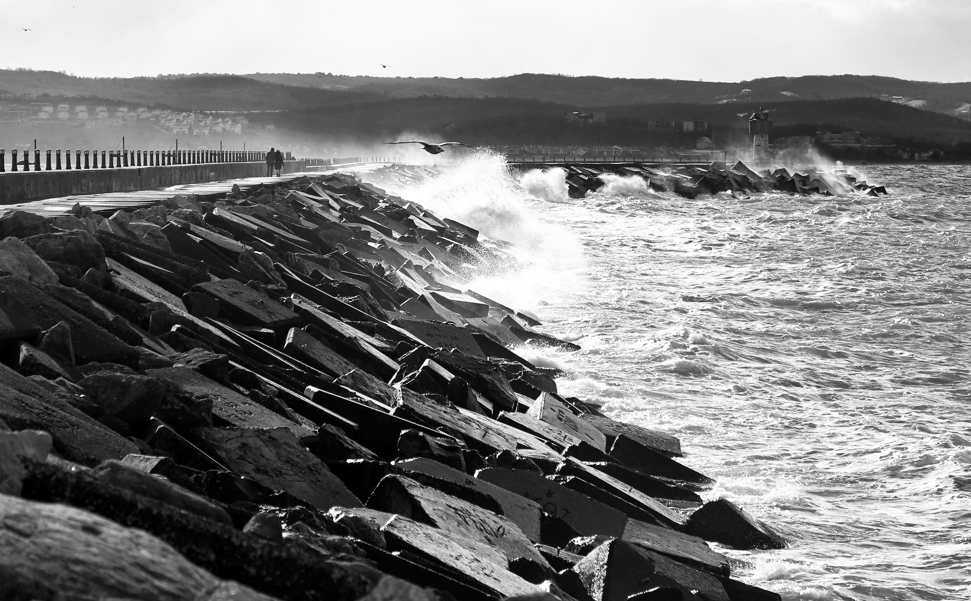 Black and White Photo of a Wave Hitting a Rocky Seashore · Free Stock Photo