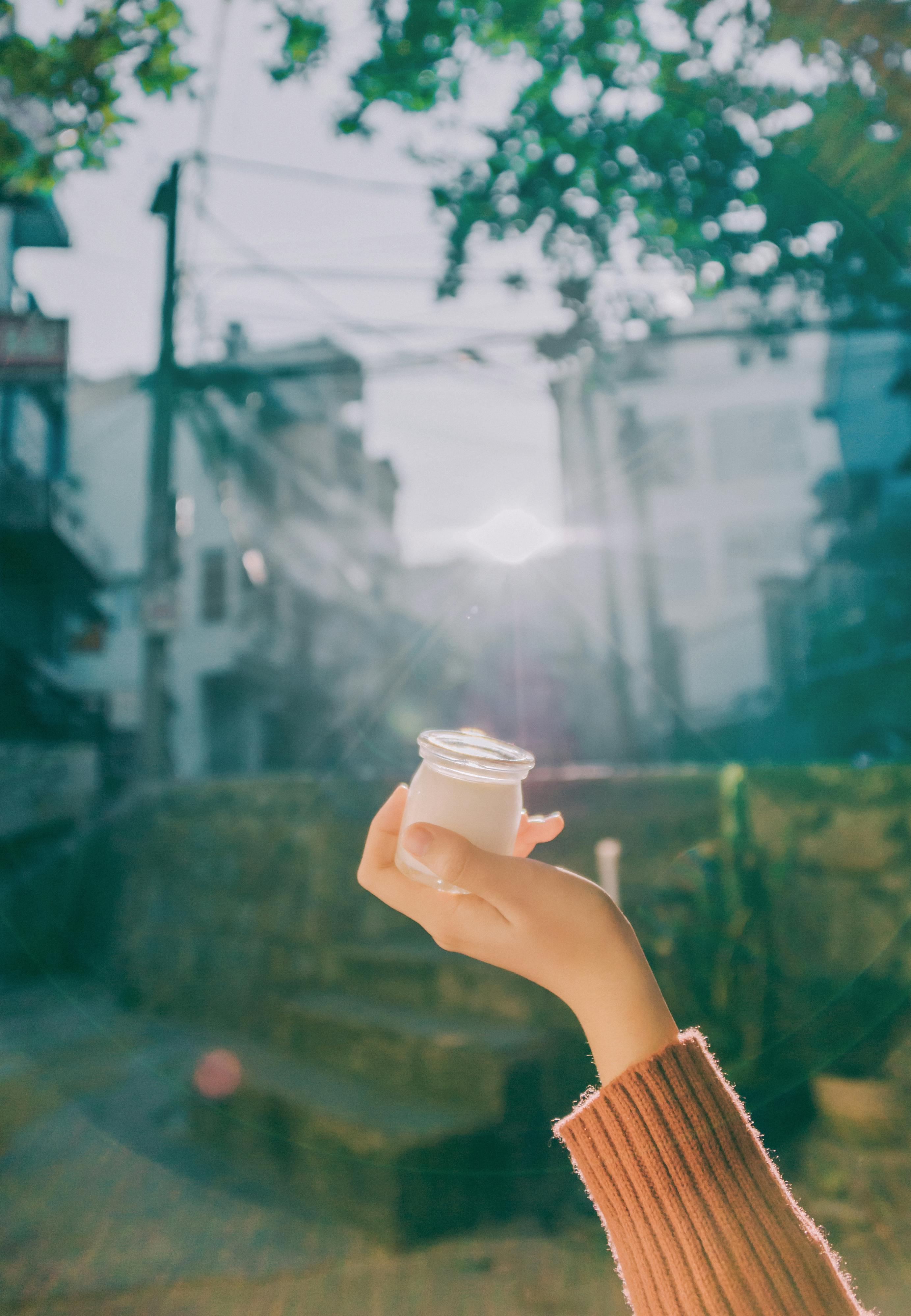 Left Human Hand With Green Leaf Branch · Free Stock Photo