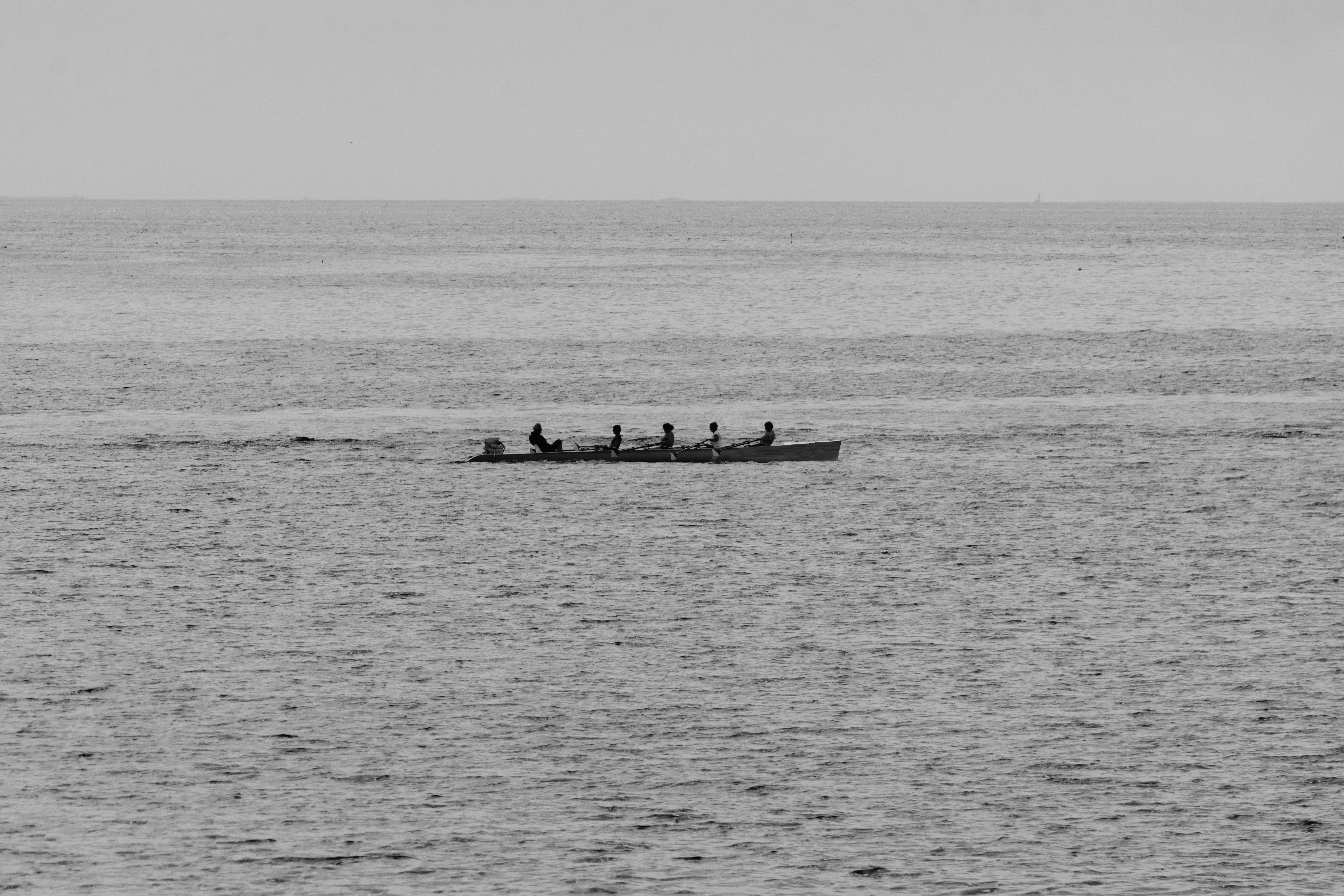 Team Paddling on Sea · Free Stock Photo