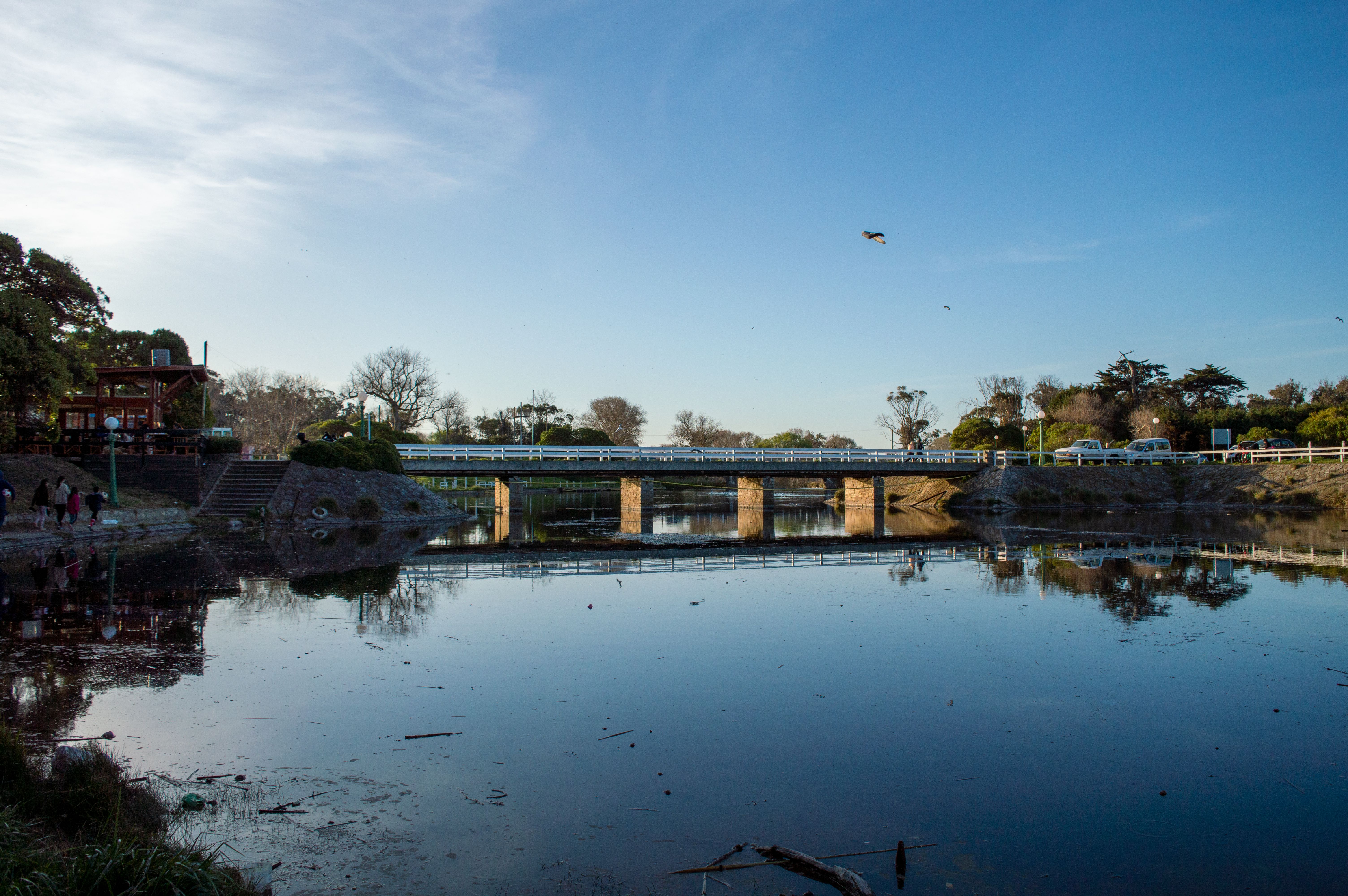 Bridge above Water in Nature · Free Stock Photo