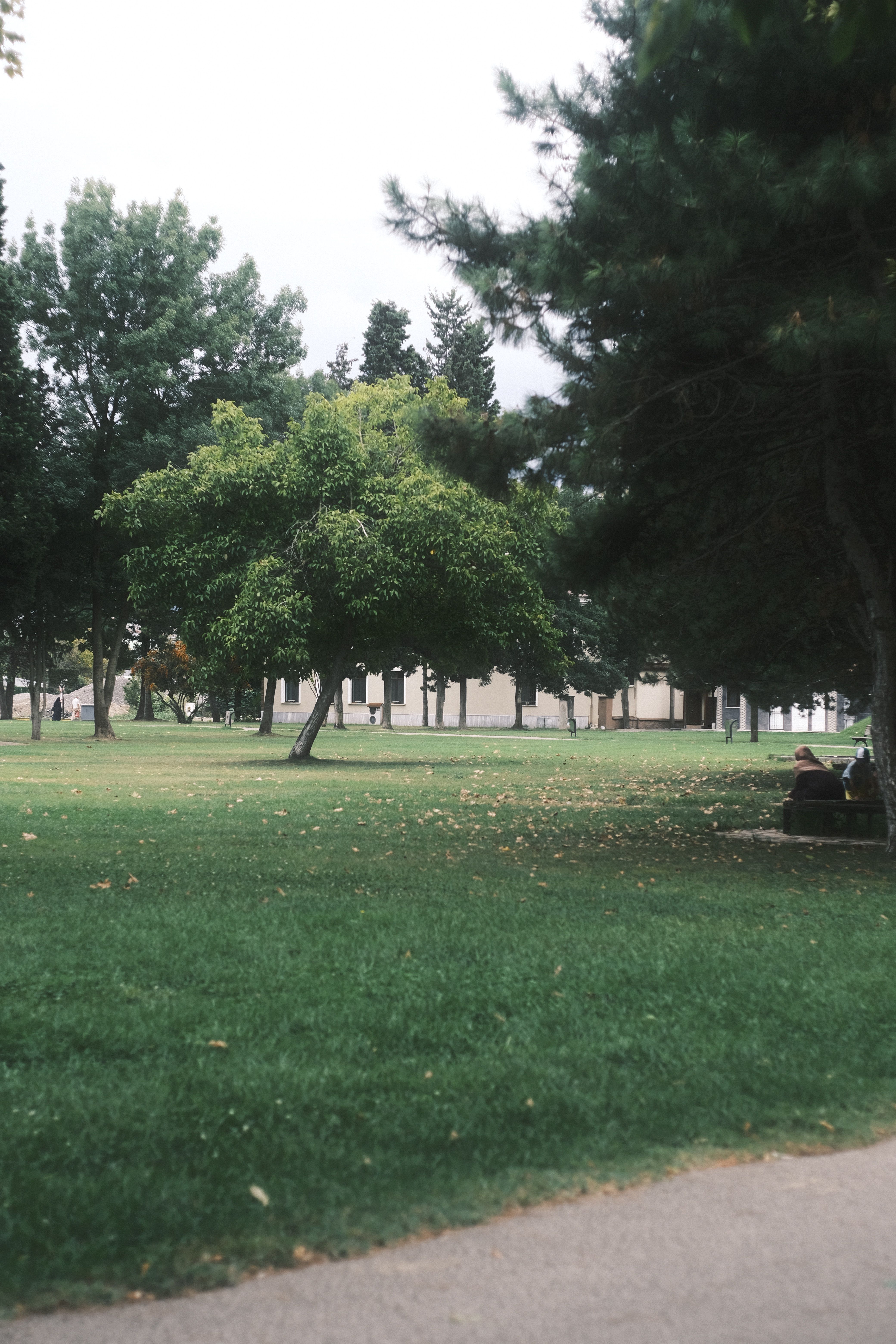 A Green Grass Field With Trees · Free Stock Photo