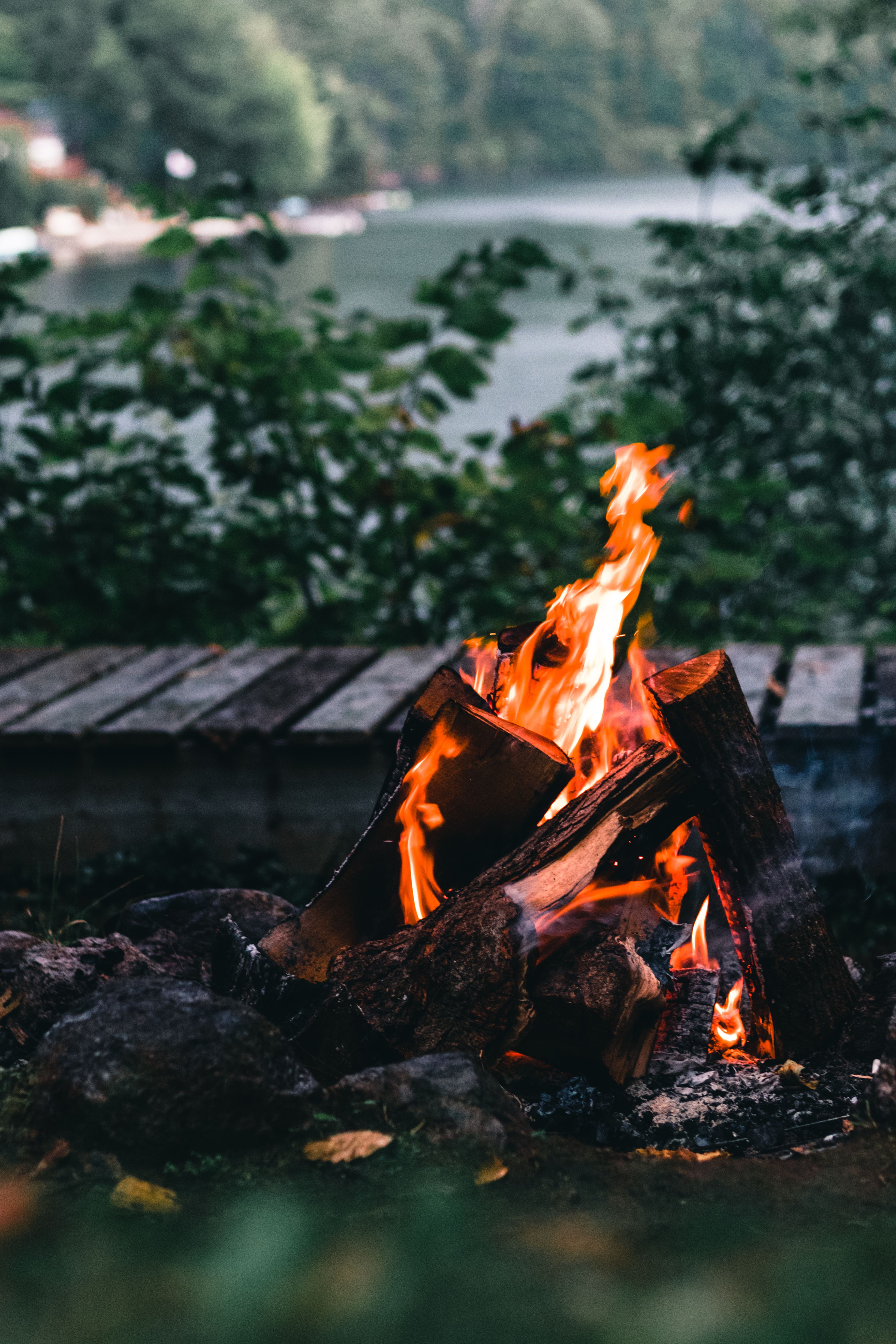 Bonfire on Green Grass Field · Free Stock Photo