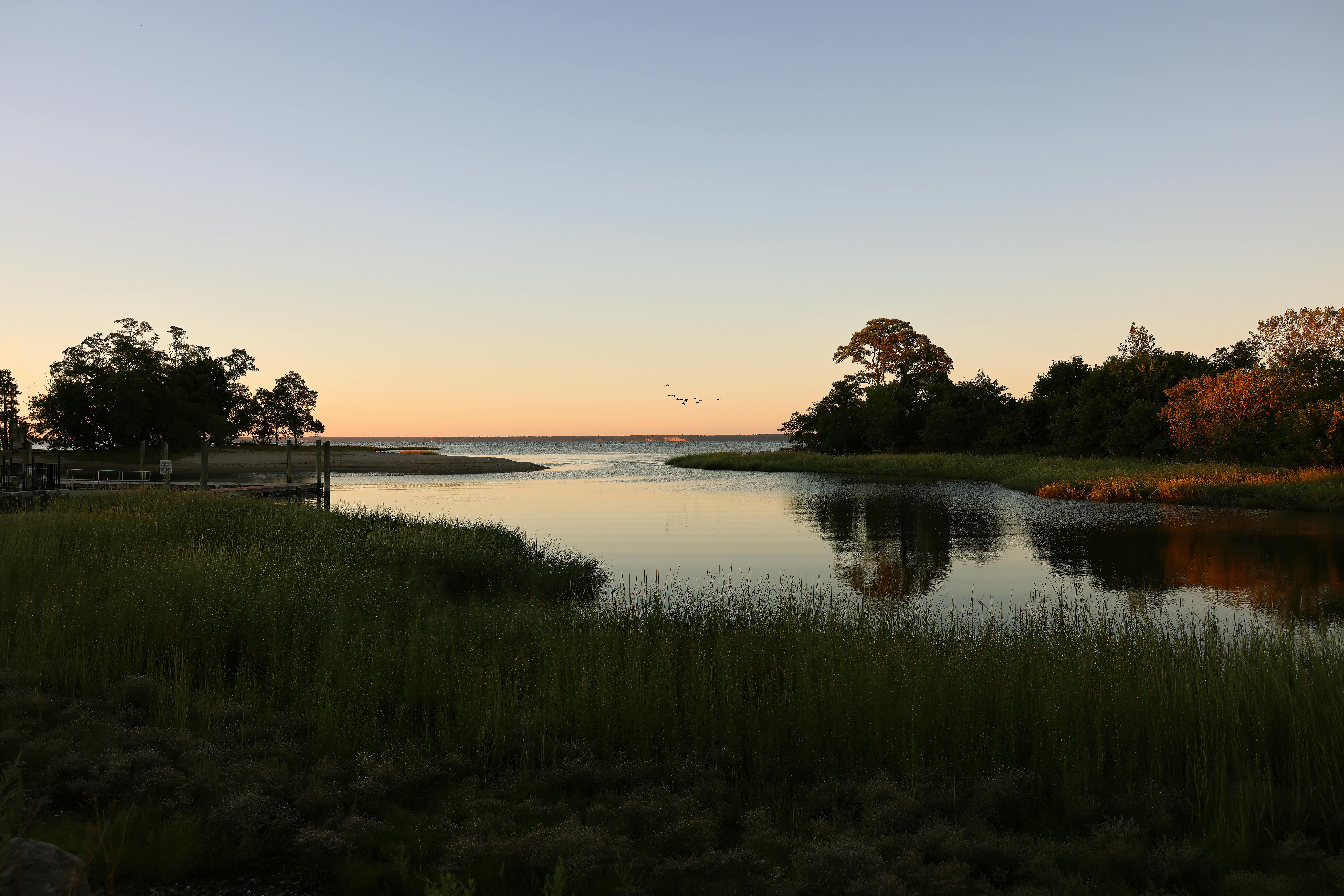 A Lake Between Grass Field wit Green Trees · Free Stock Photo
