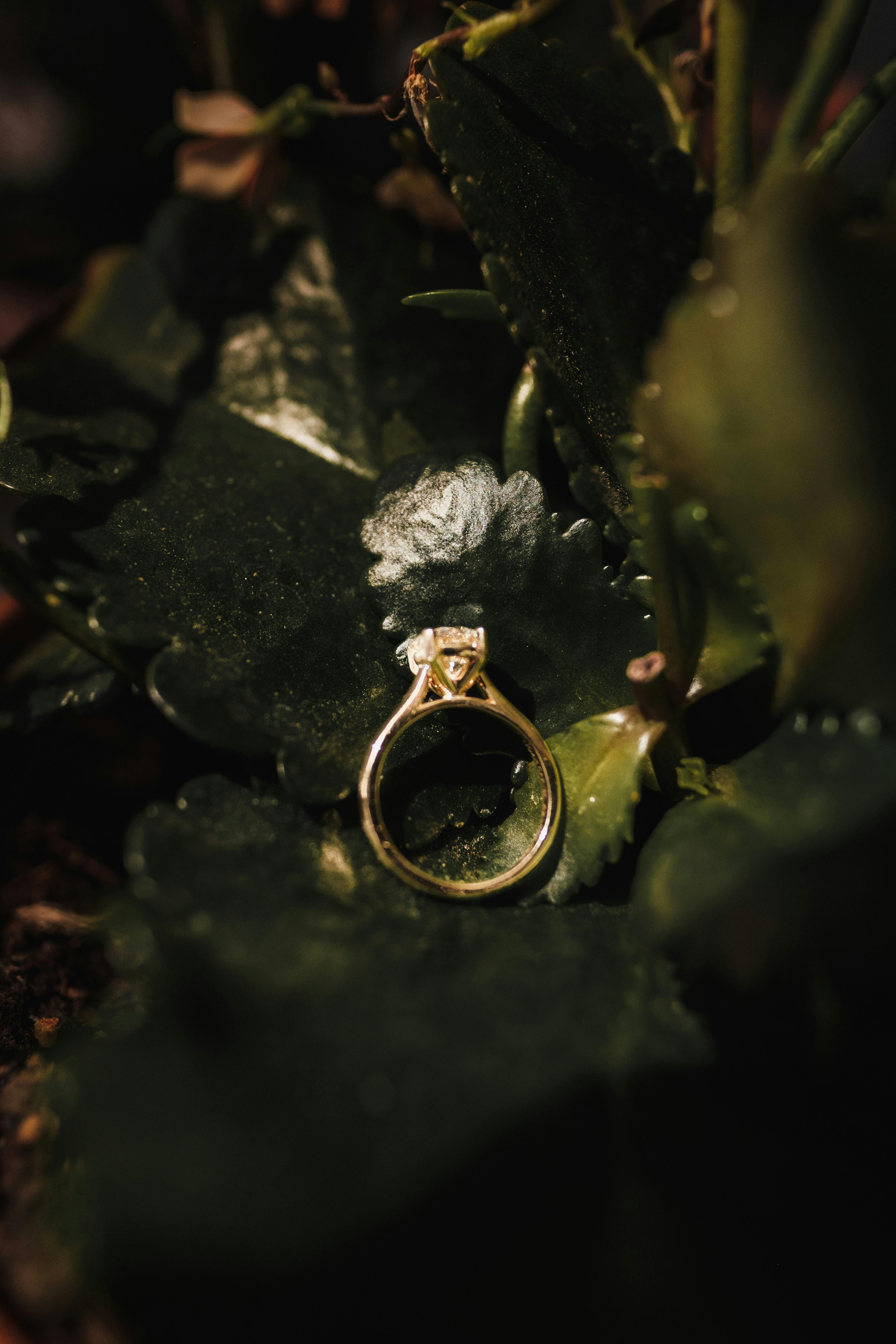 Gold-colored Diamond Engagement Ring · Free Stock Photo