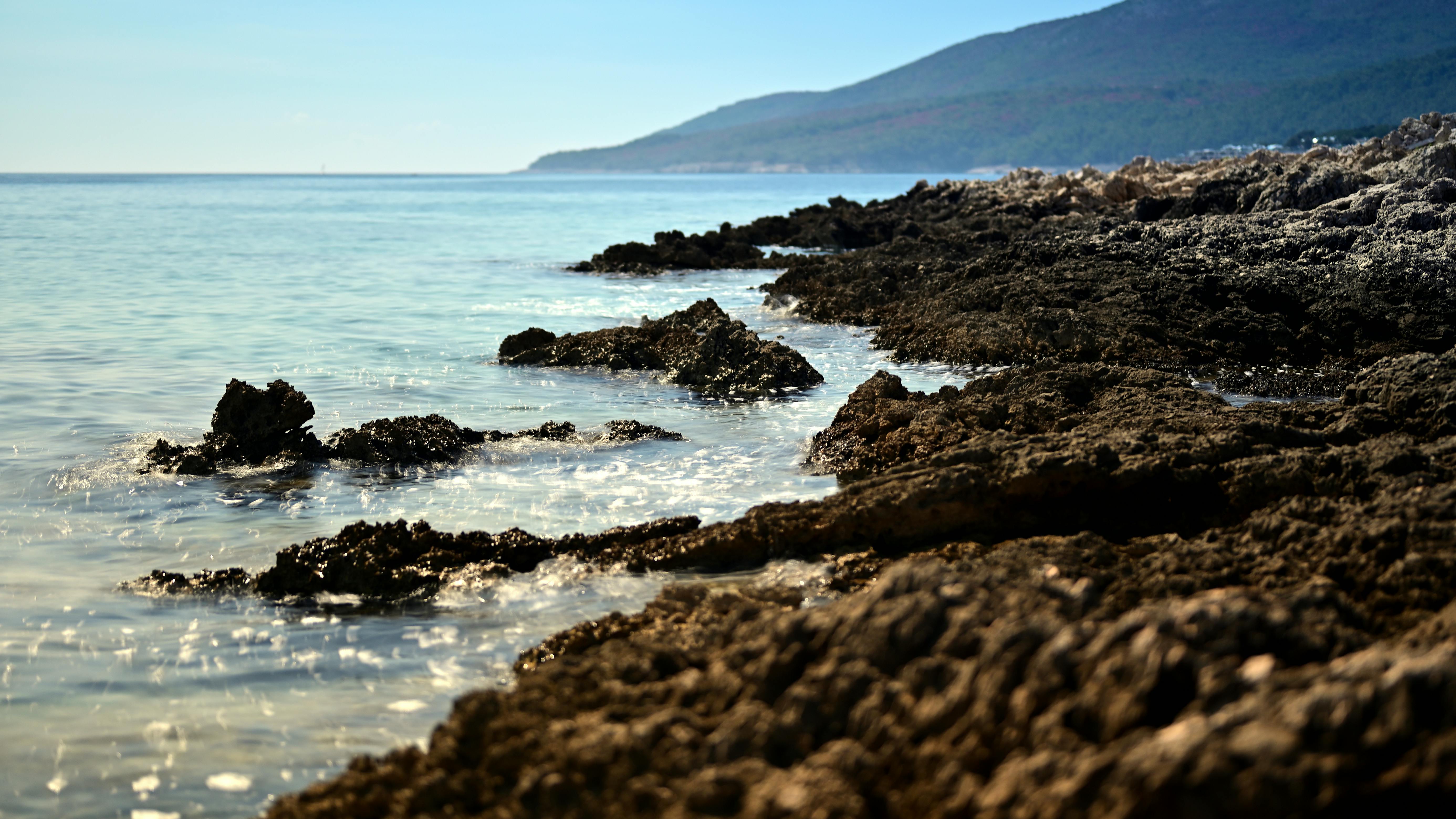 Rocky Shore of a Beach · Free Stock Photo