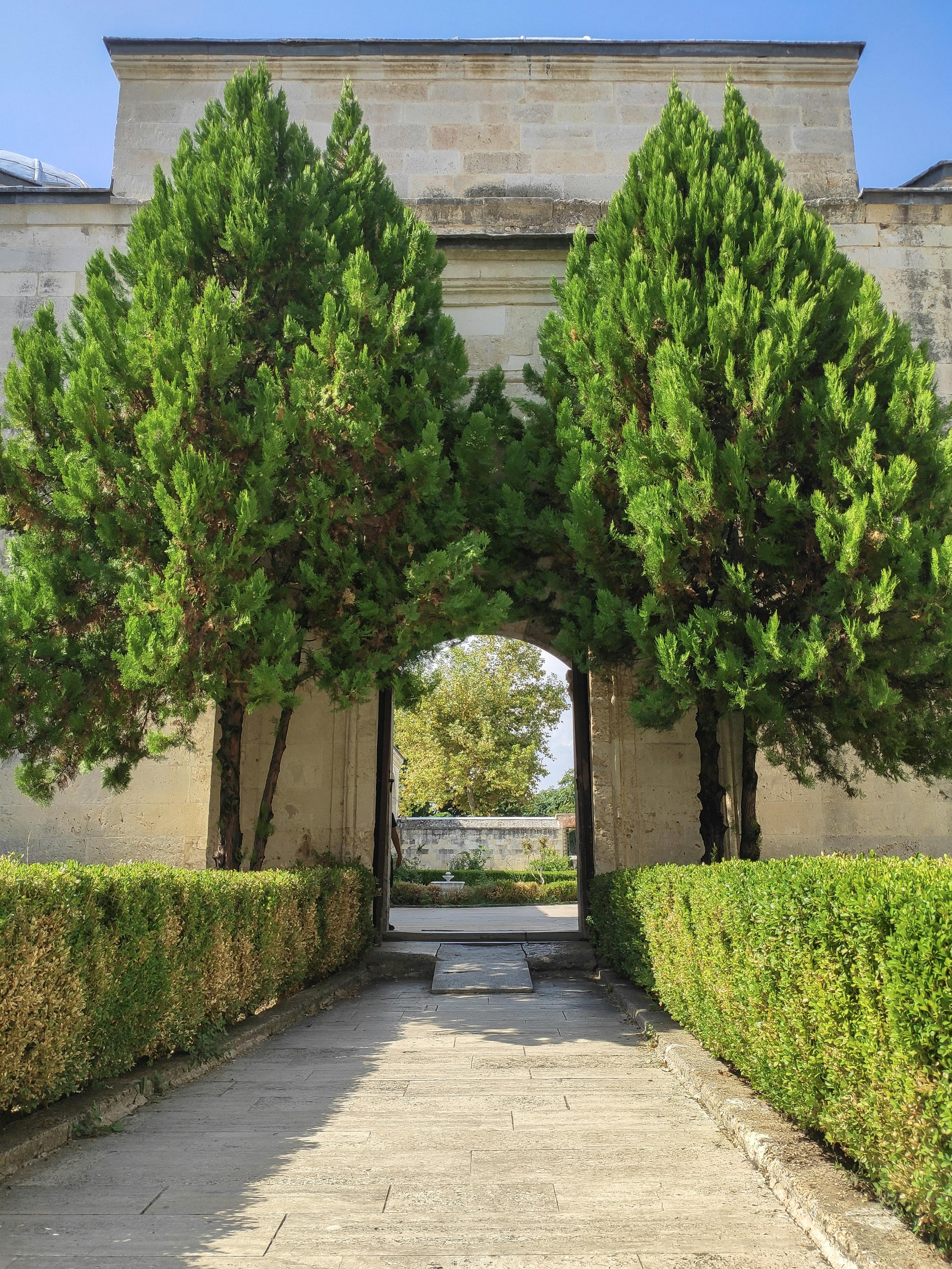 2+ Fotos y Imágenes de Eser tokas Gratis · Banco de Fotos Gratis