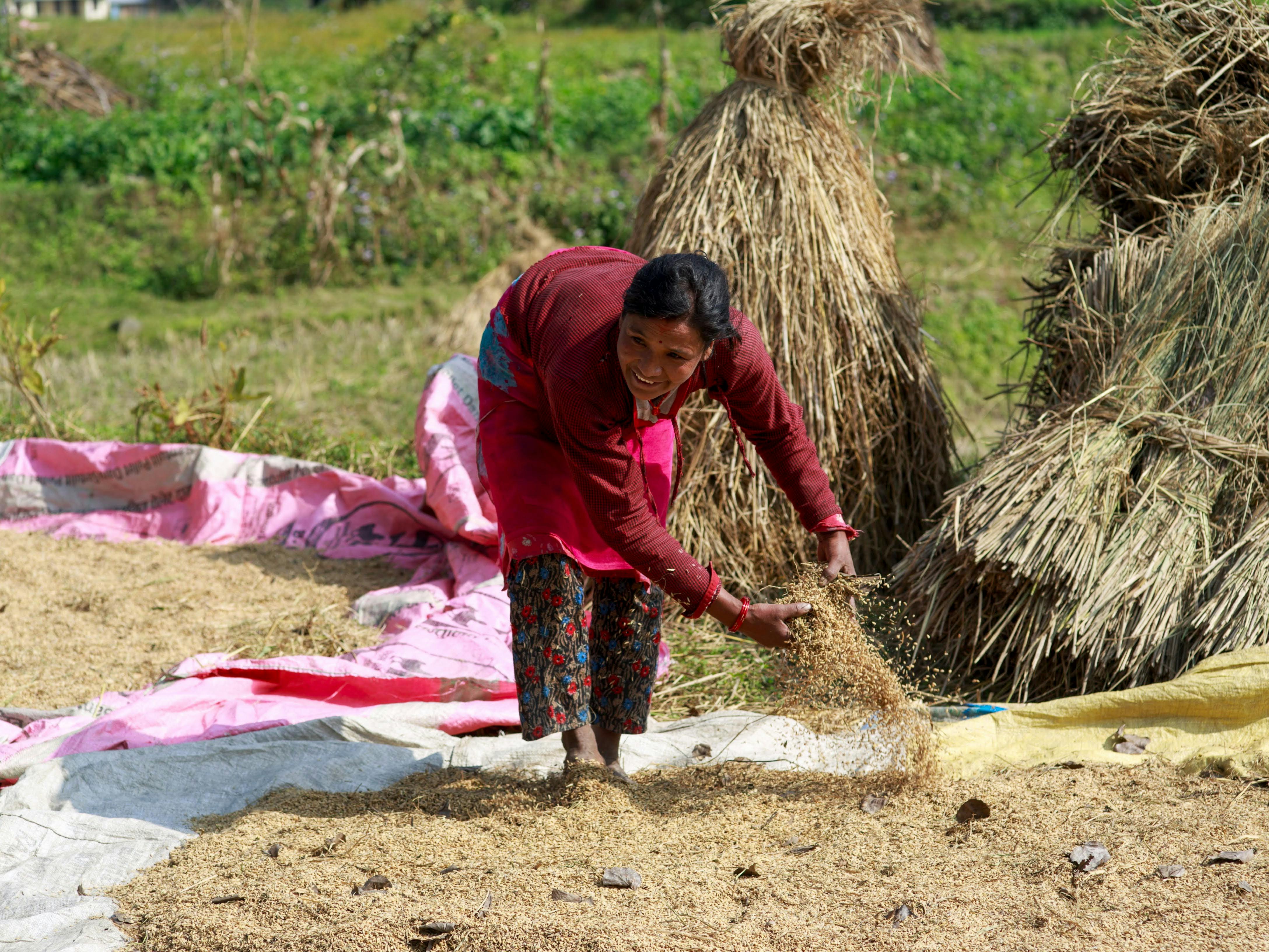 Woman Working in Countryside · Free Stock Photo