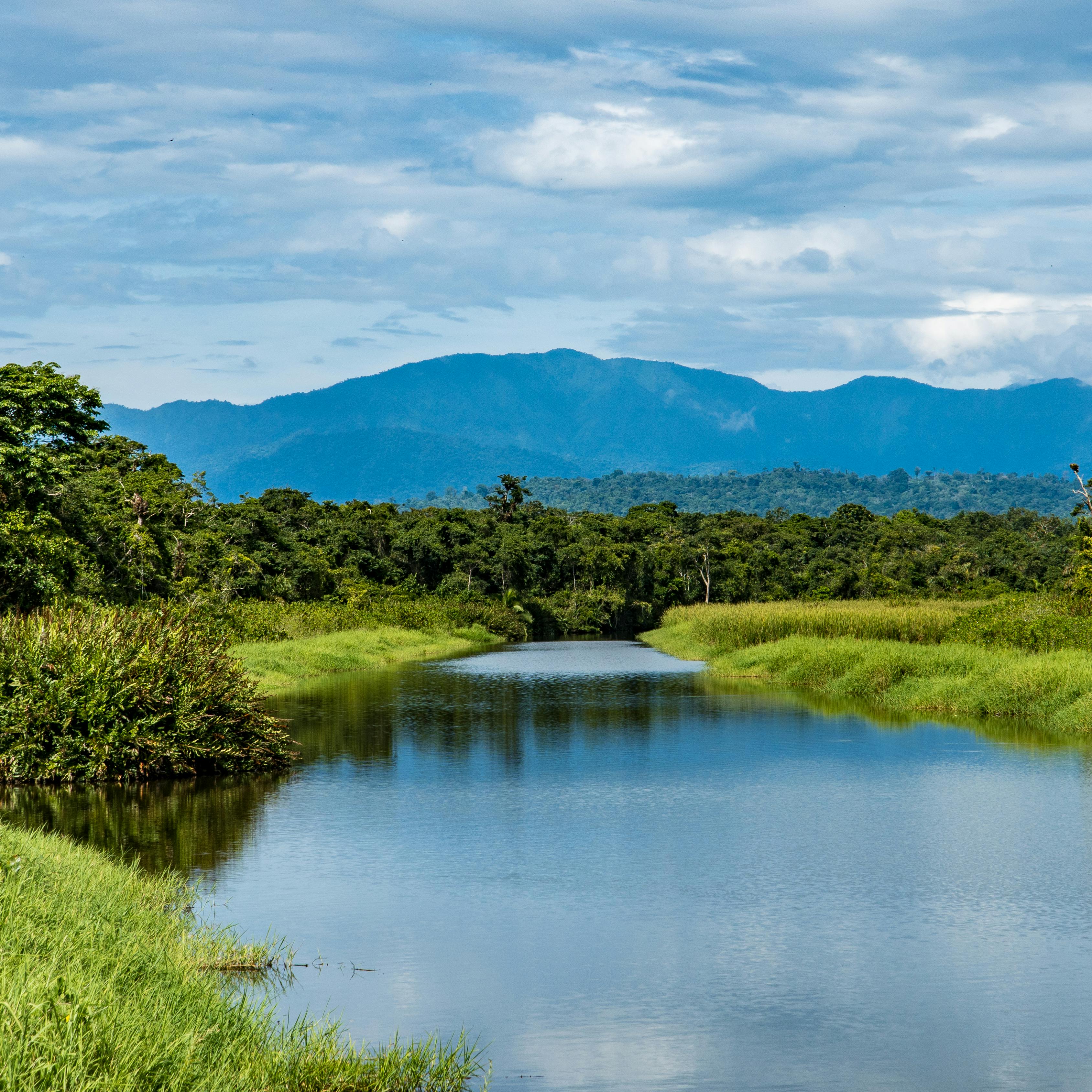 View of a River in Mountains · Free Stock Photo