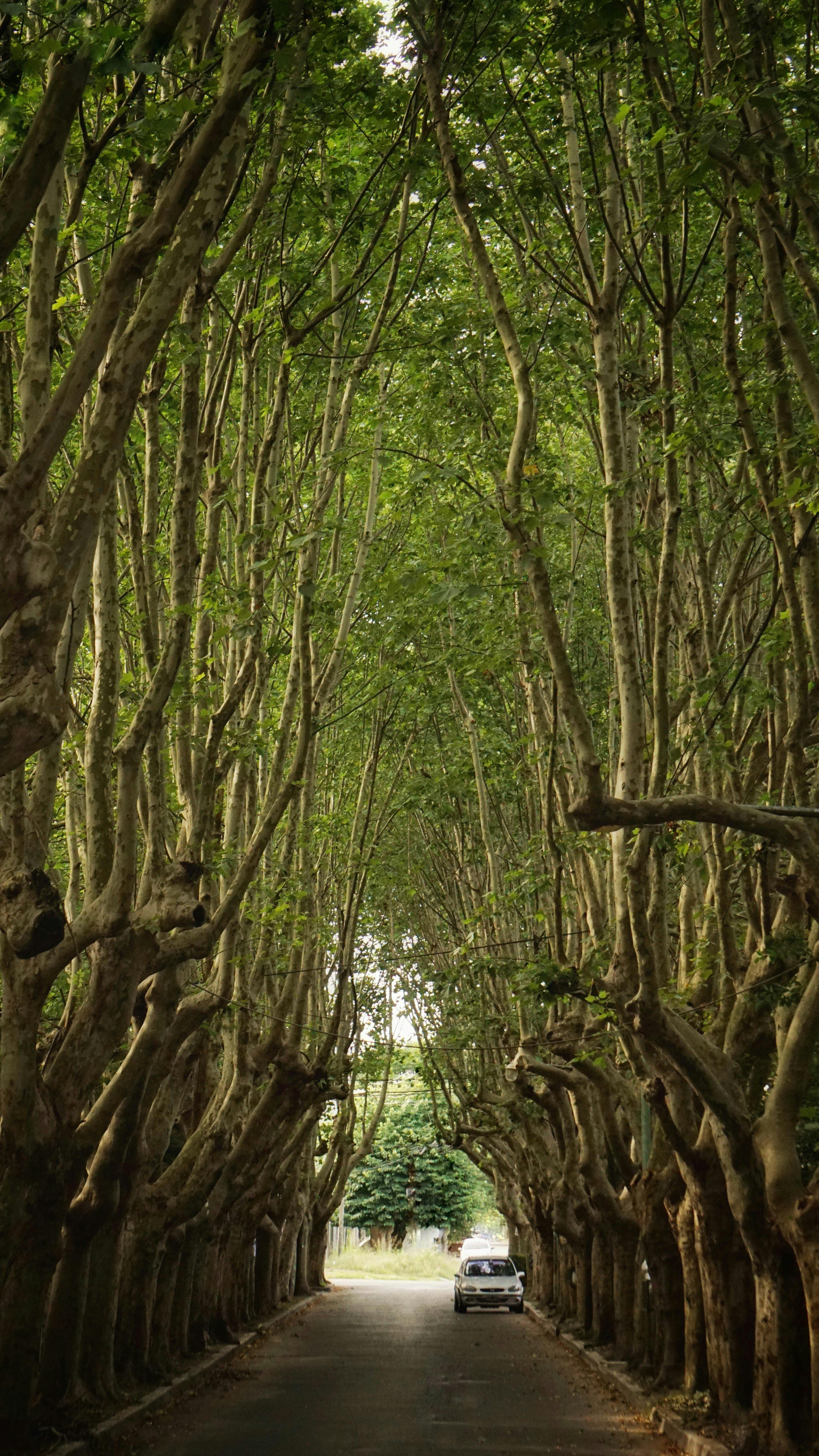 Mike Suarez - Fotografía
