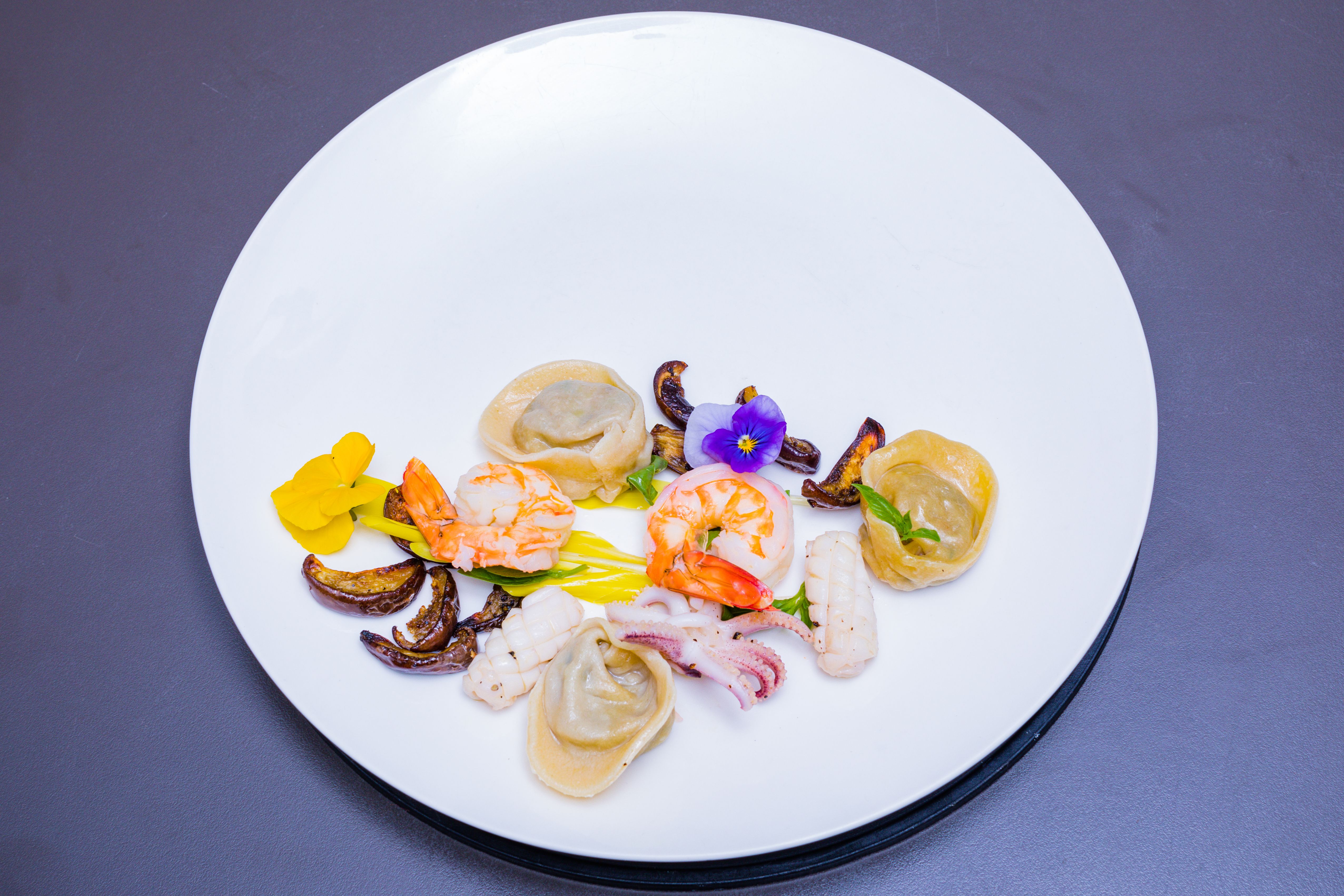 Photo of an Omelet on a Plate · Free Stock Photo