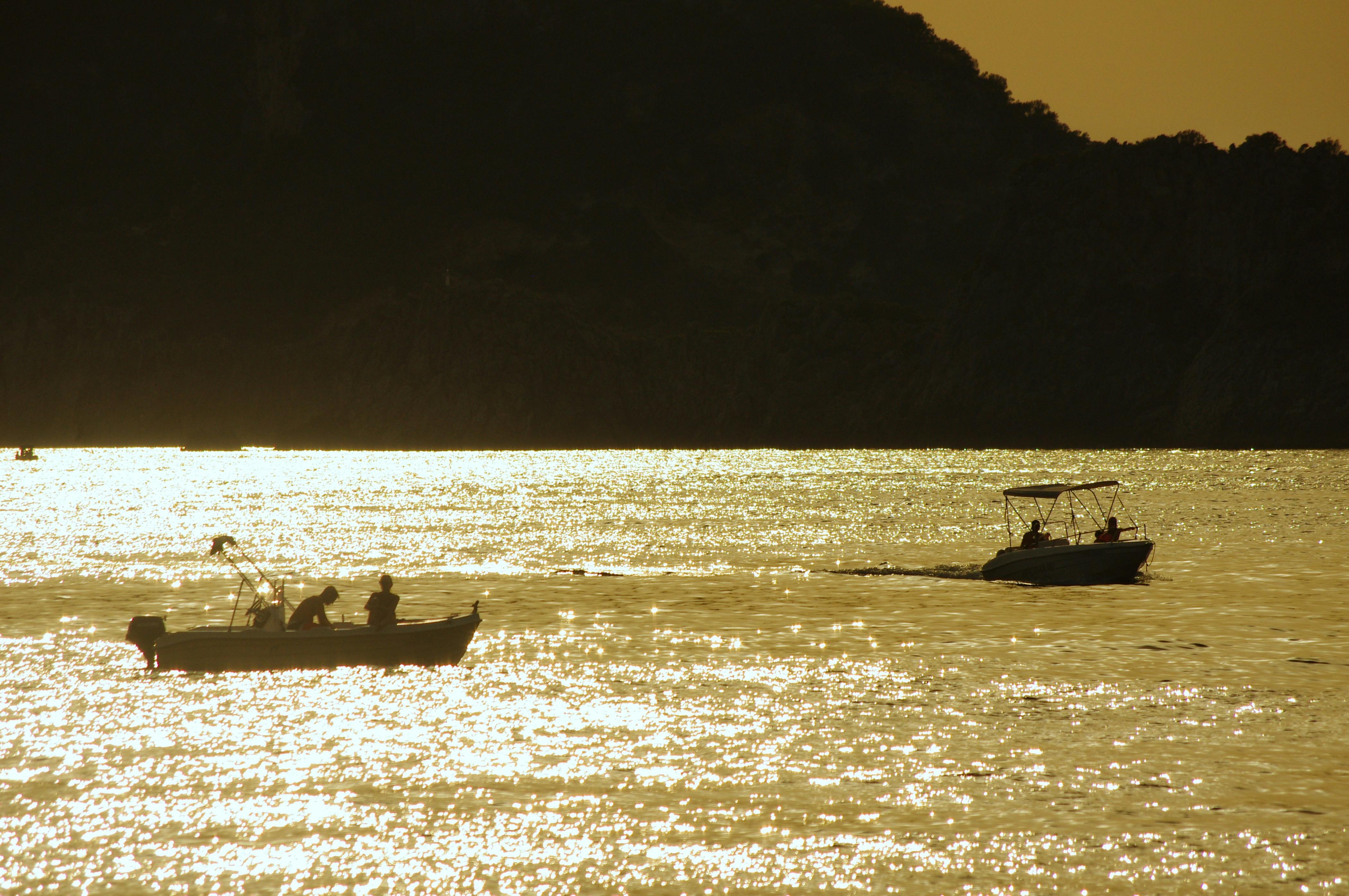 View of Silhouetted Boats on a Sea near a Shore at Sunset · Free Stock ...