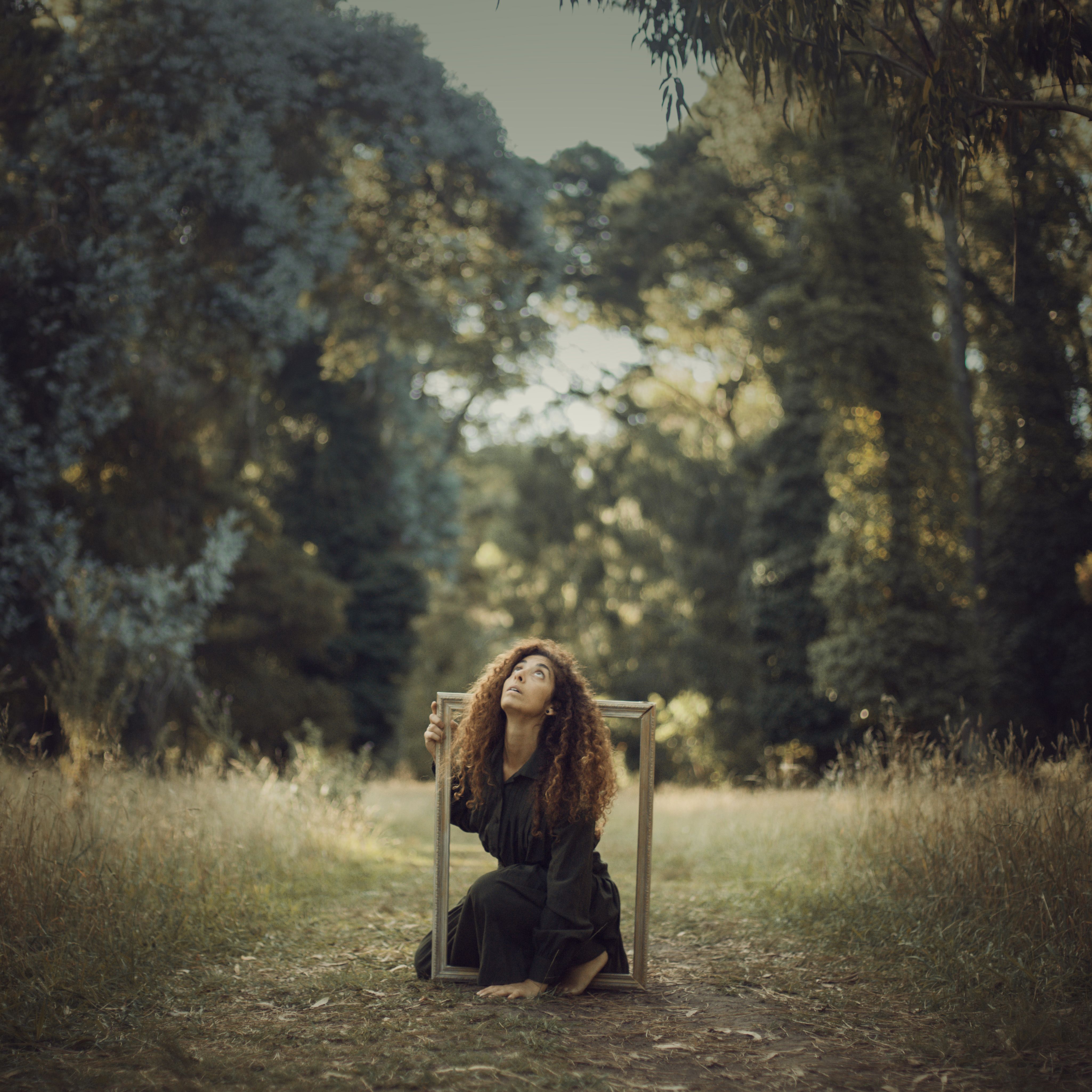 Foto de stock gratuita sobre al aire libre, arboles, arte del marco ...