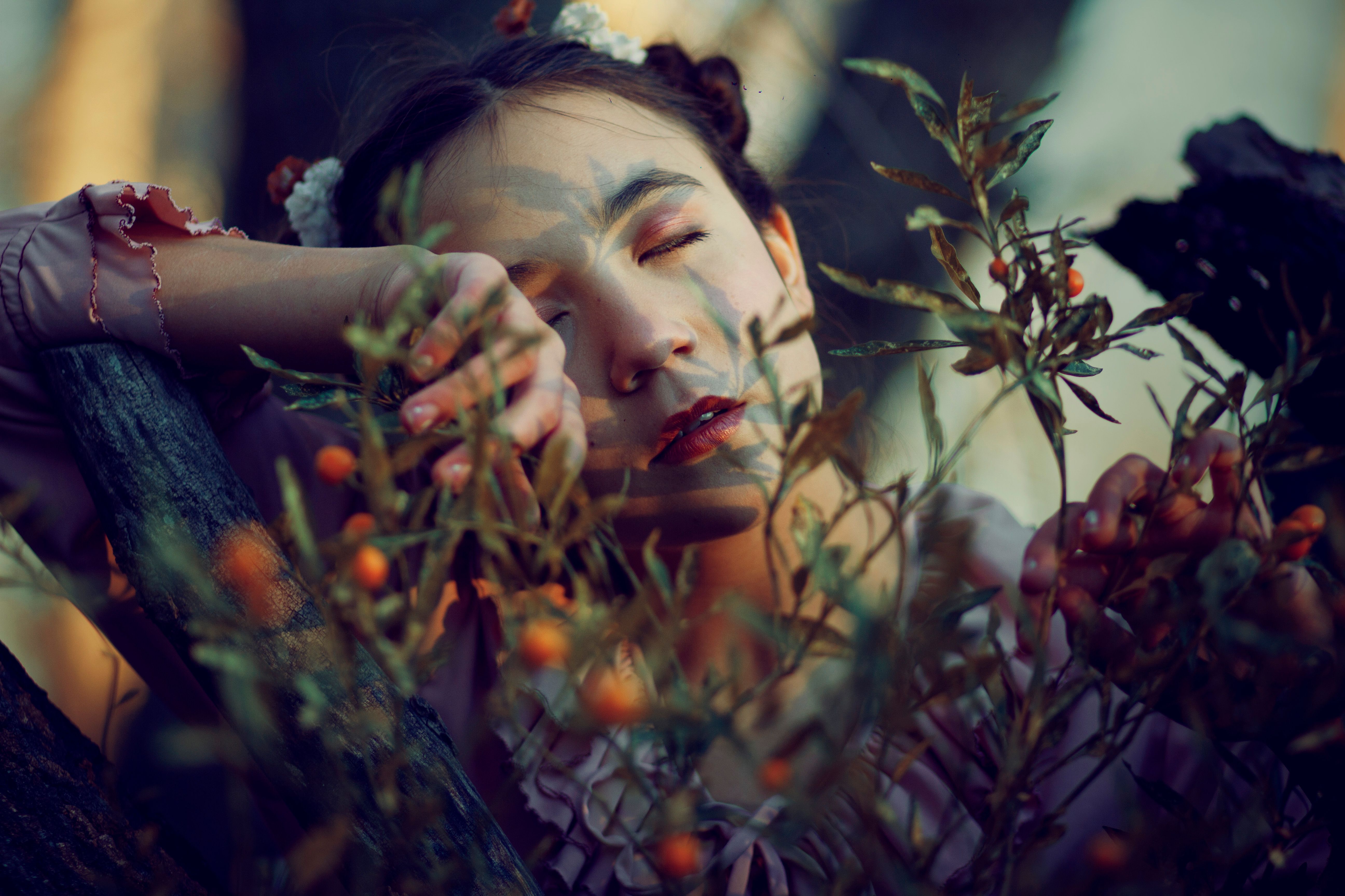 Calming Flowers Photos, Download The BEST Free Calming Flowers Stock ...