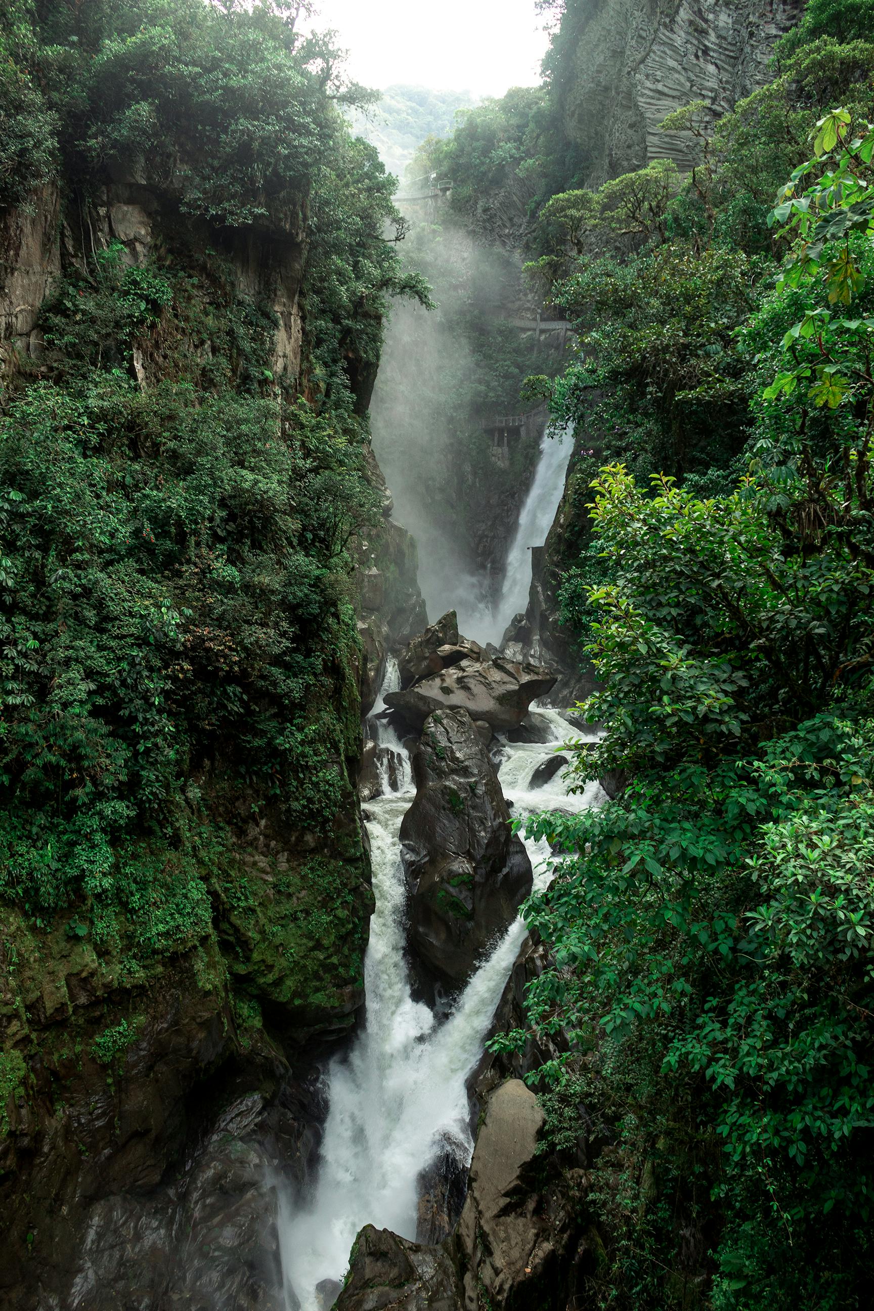 Trees around Waterfall in Forest · Free Stock Photo