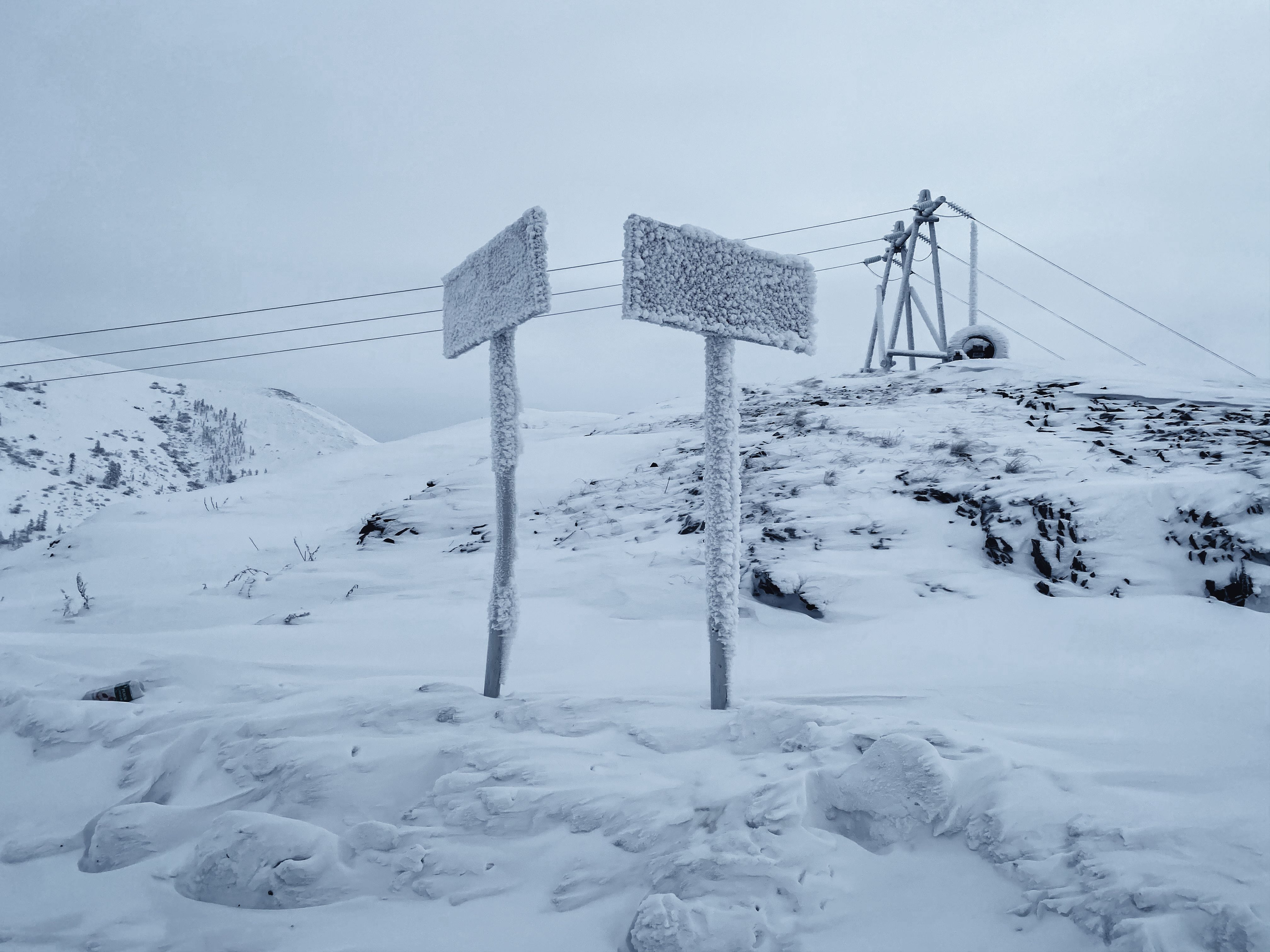 Signages on a Snow-Covered Field · Free Stock Photo