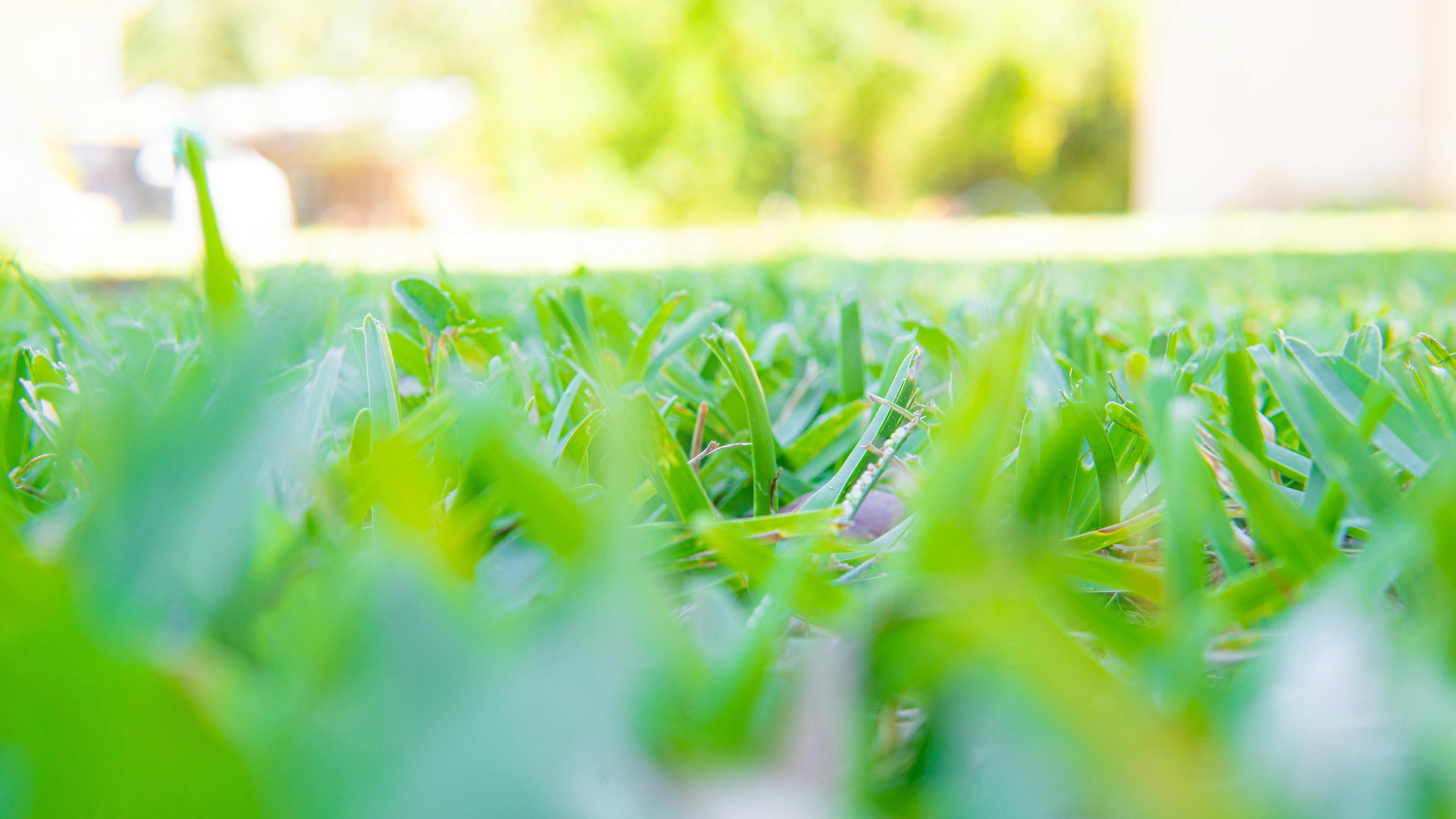 Jean Desir - Fotografía