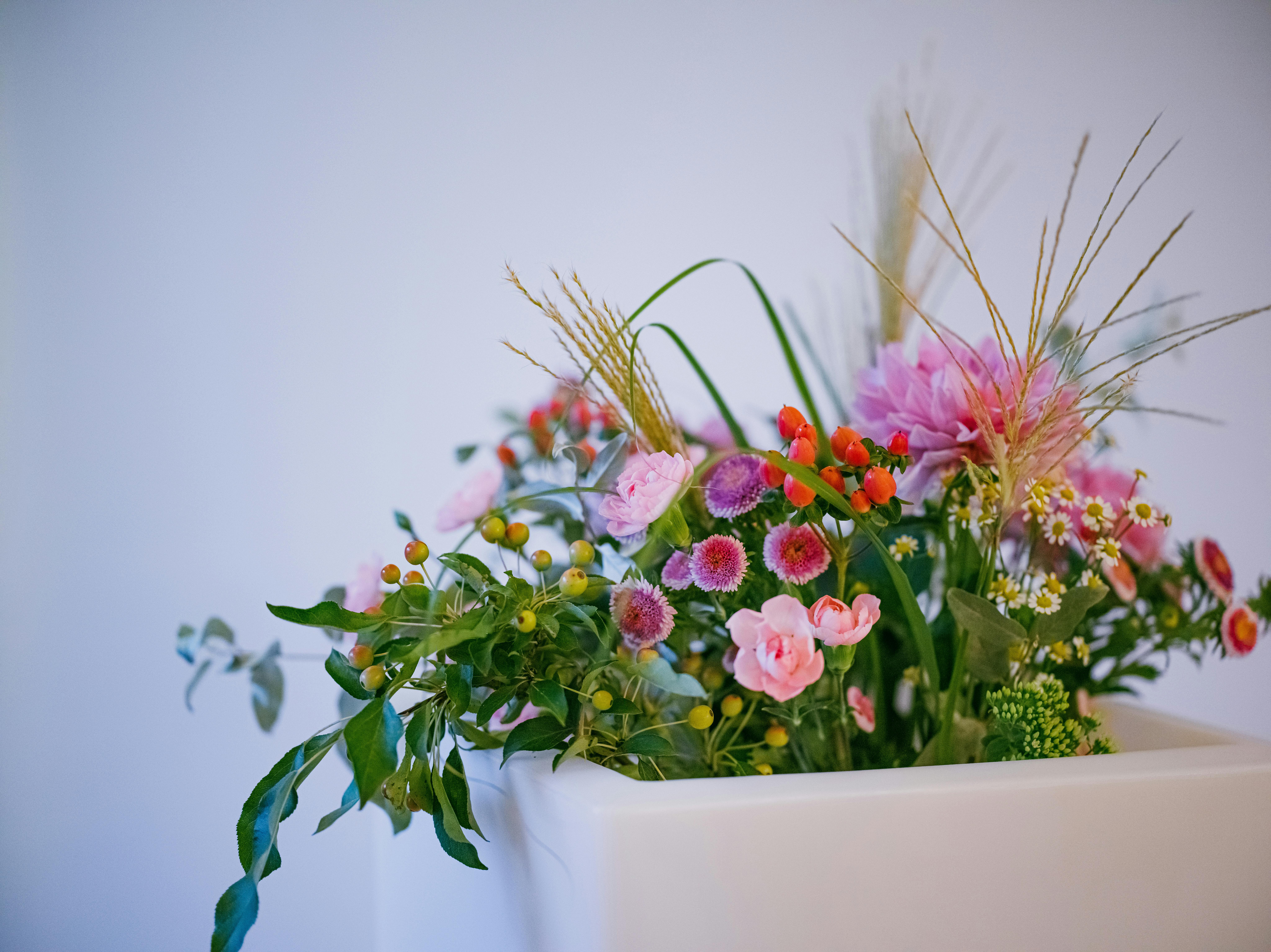 Photo of a Pot with Blooming Flowers · Free Stock Photo