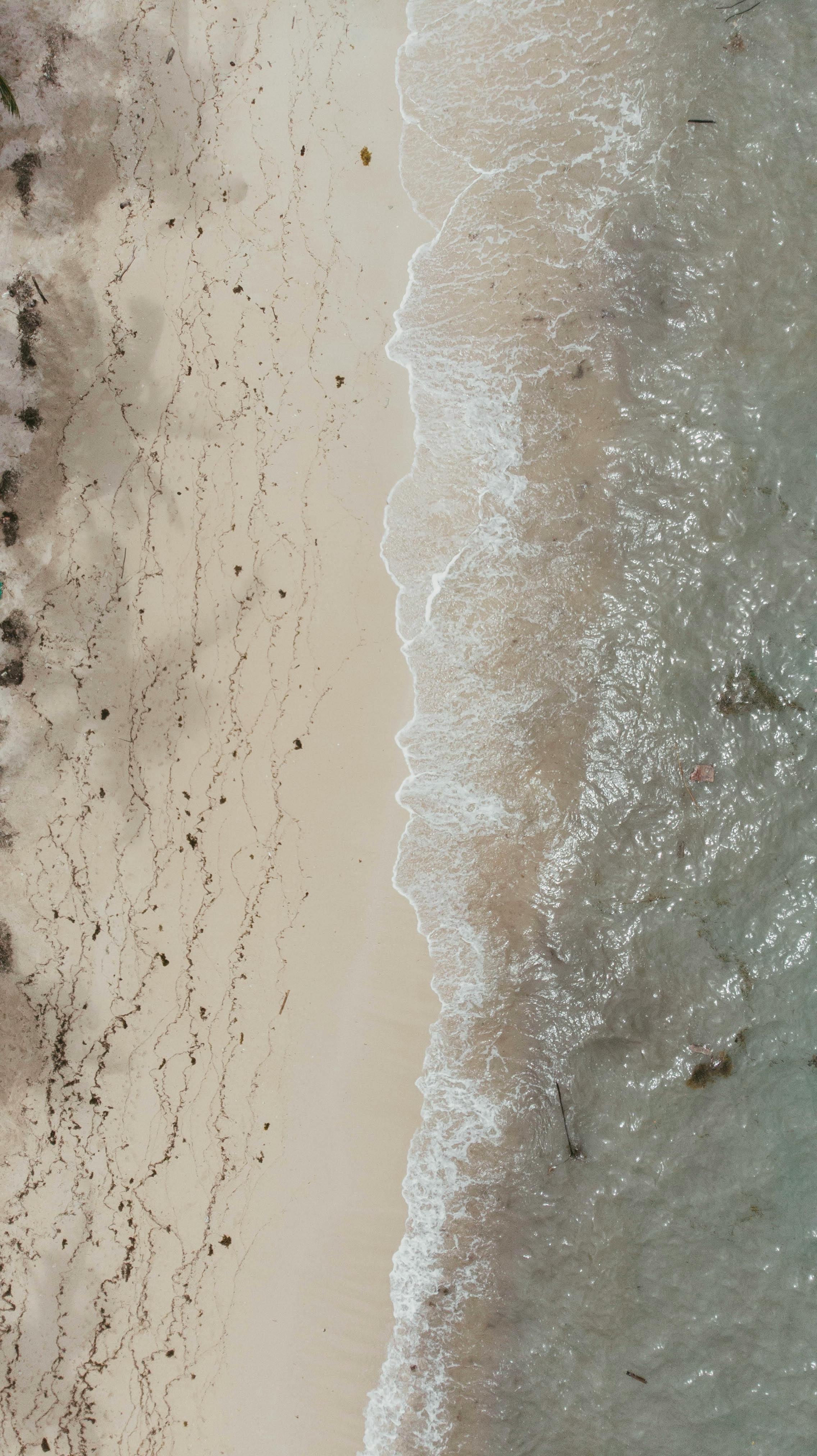 Aerial View of the Beach · Free Stock Photo