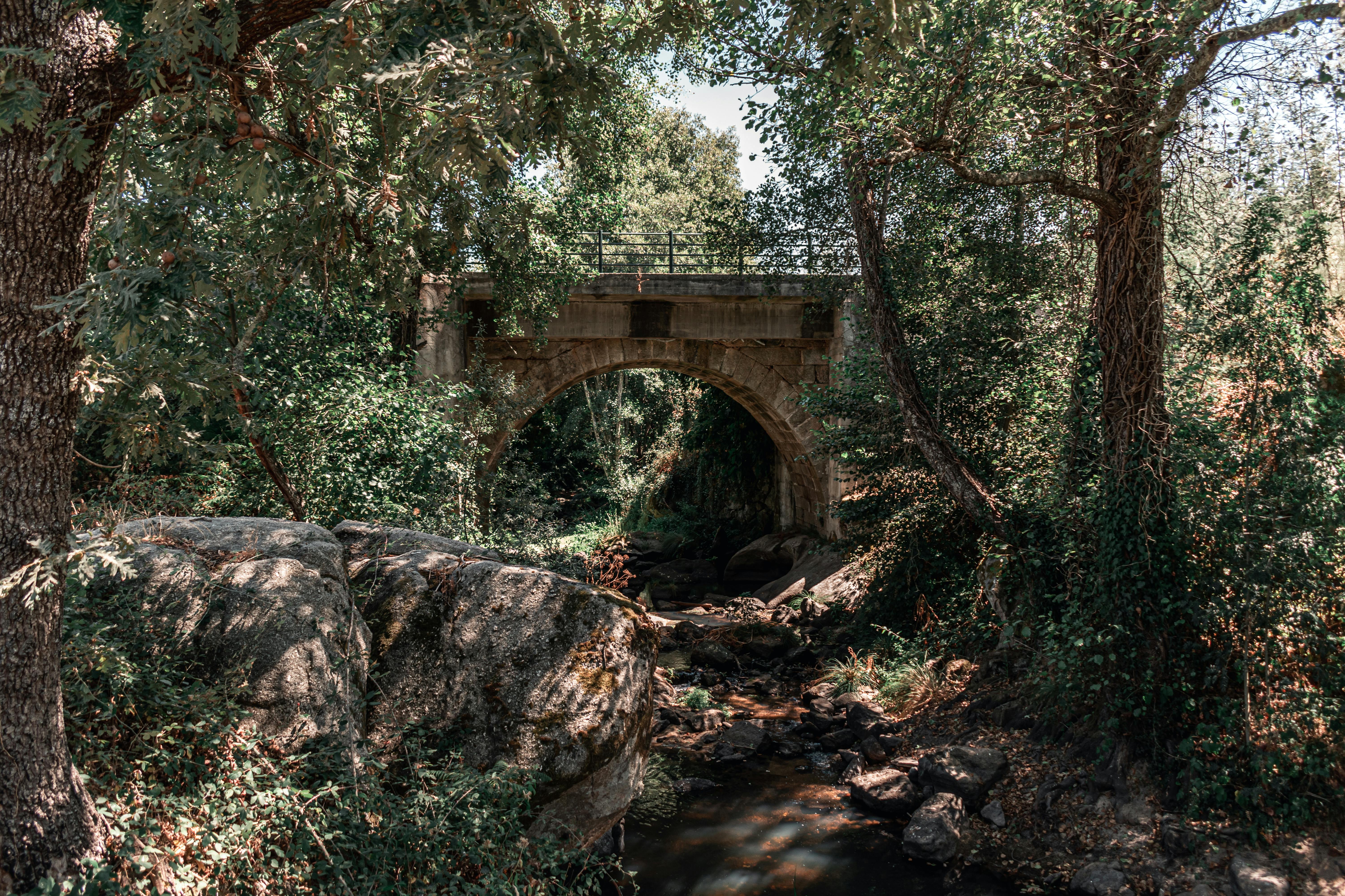Concrete Bridge Over the River · Free Stock Photo