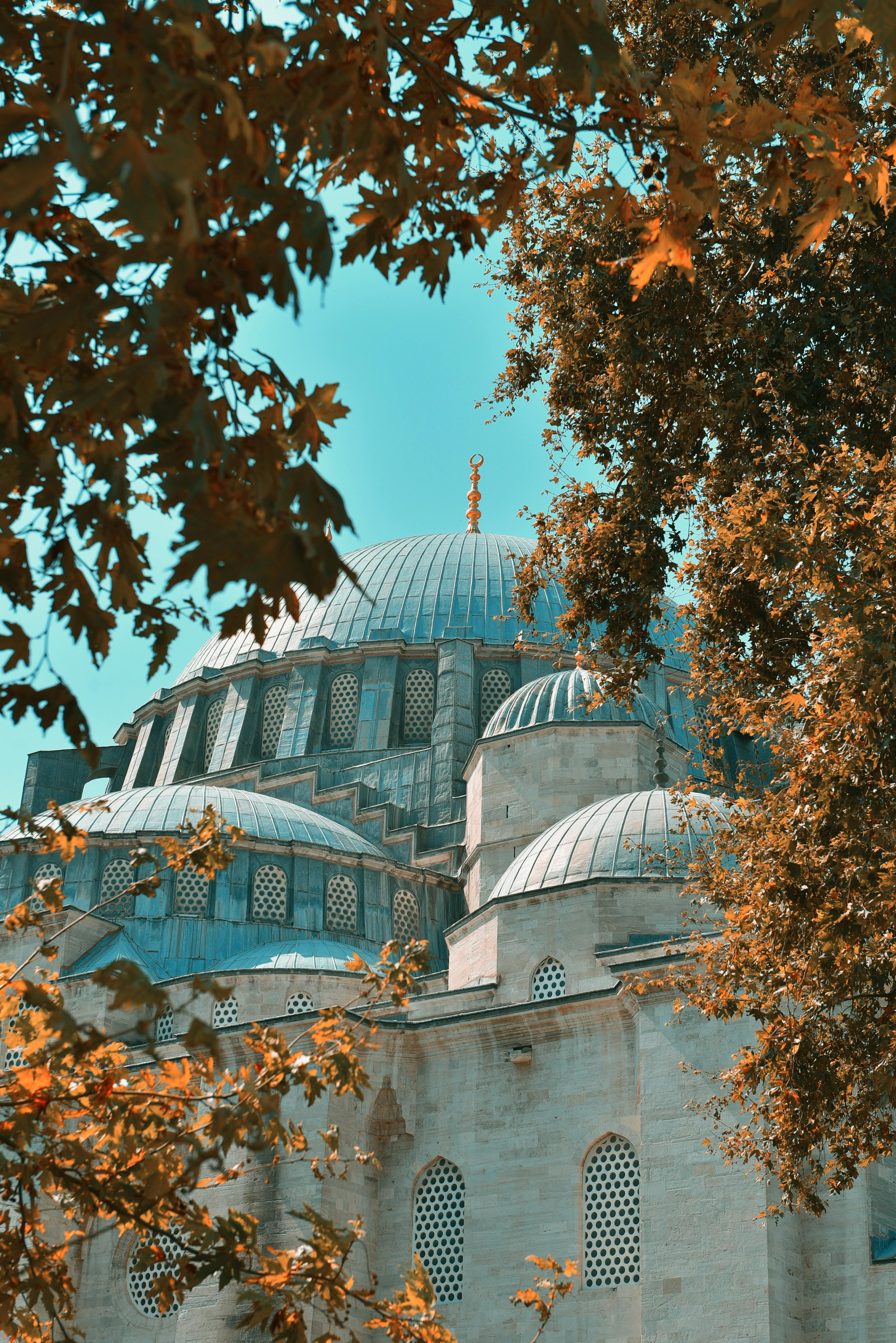 Trees outside Suleymaniye Mosque · Free Stock Photo