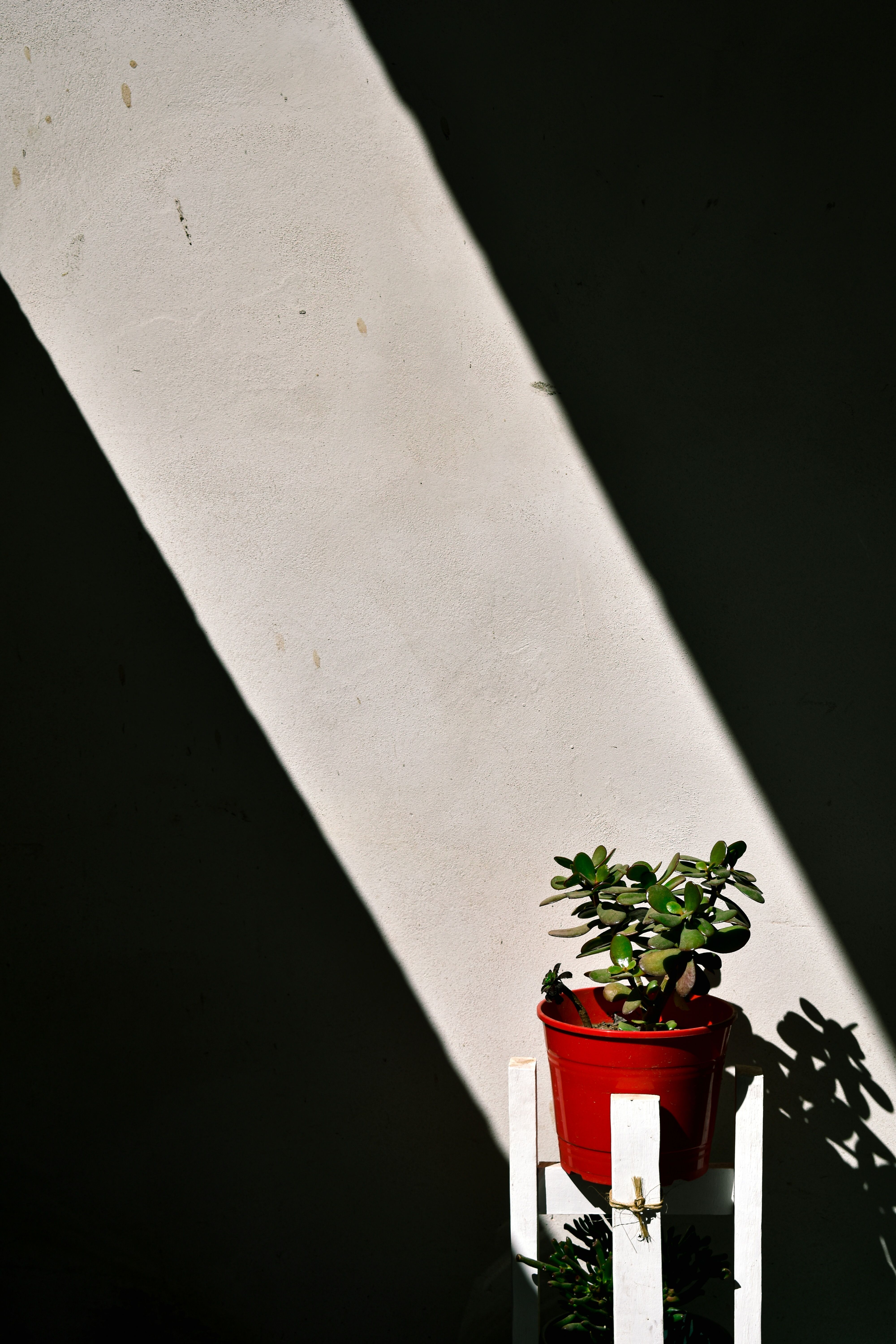 Shilouette Shadow Photos, Download Free Shilouette Shadow Stock Photos ...