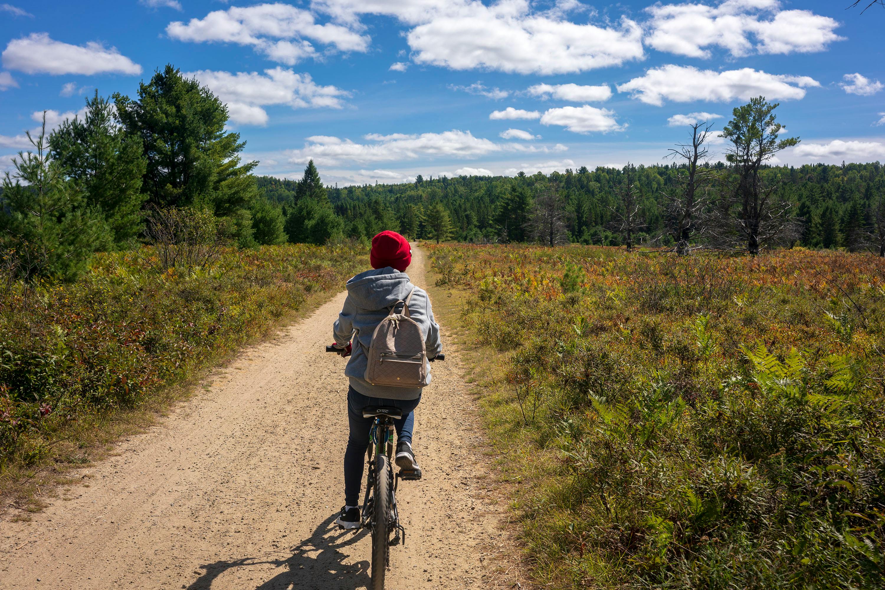 Person Riding Bike in Countryside · Free Stock Photo